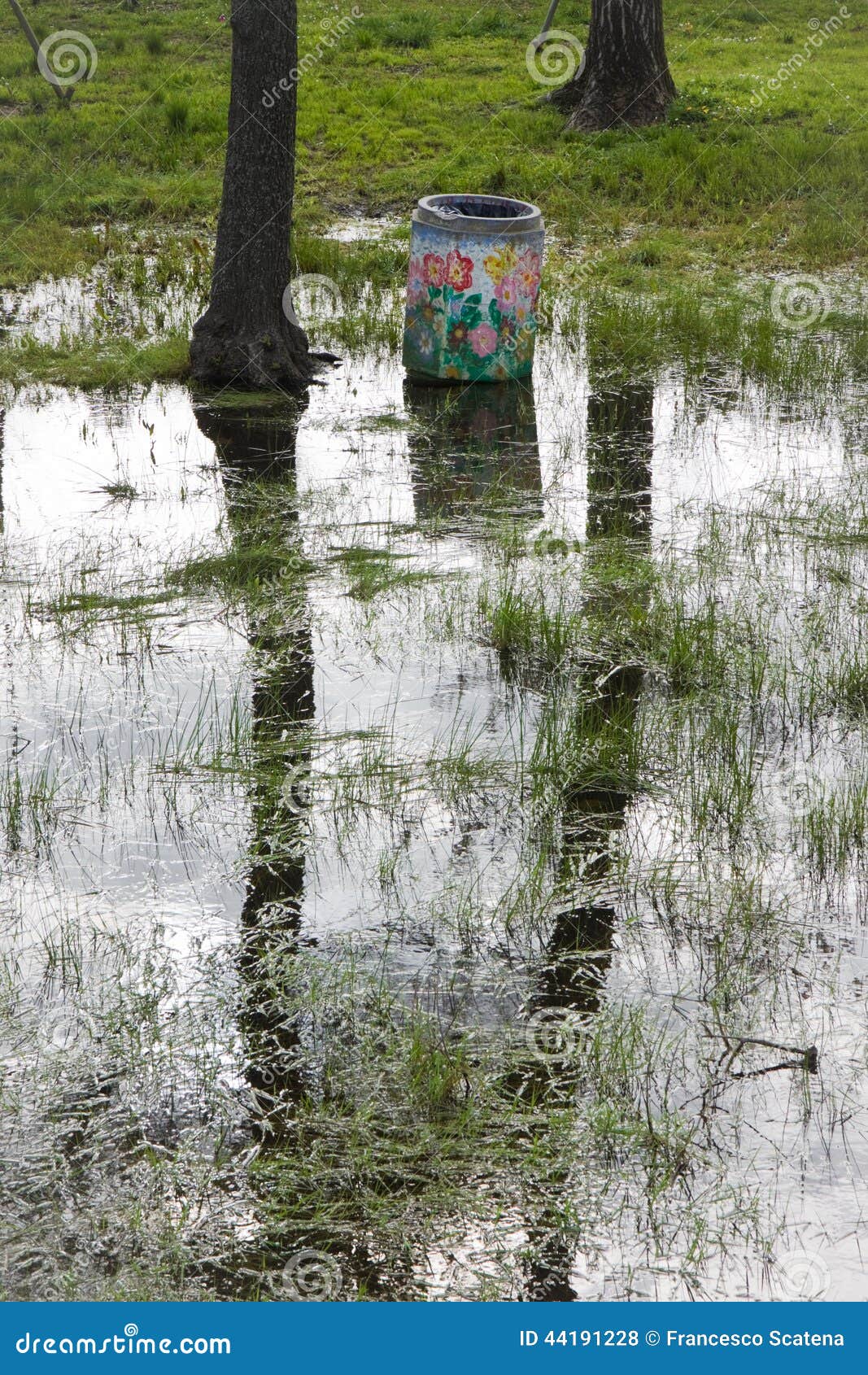 Flooded fields stock photo. Image of grazing, meteorology - 44191228