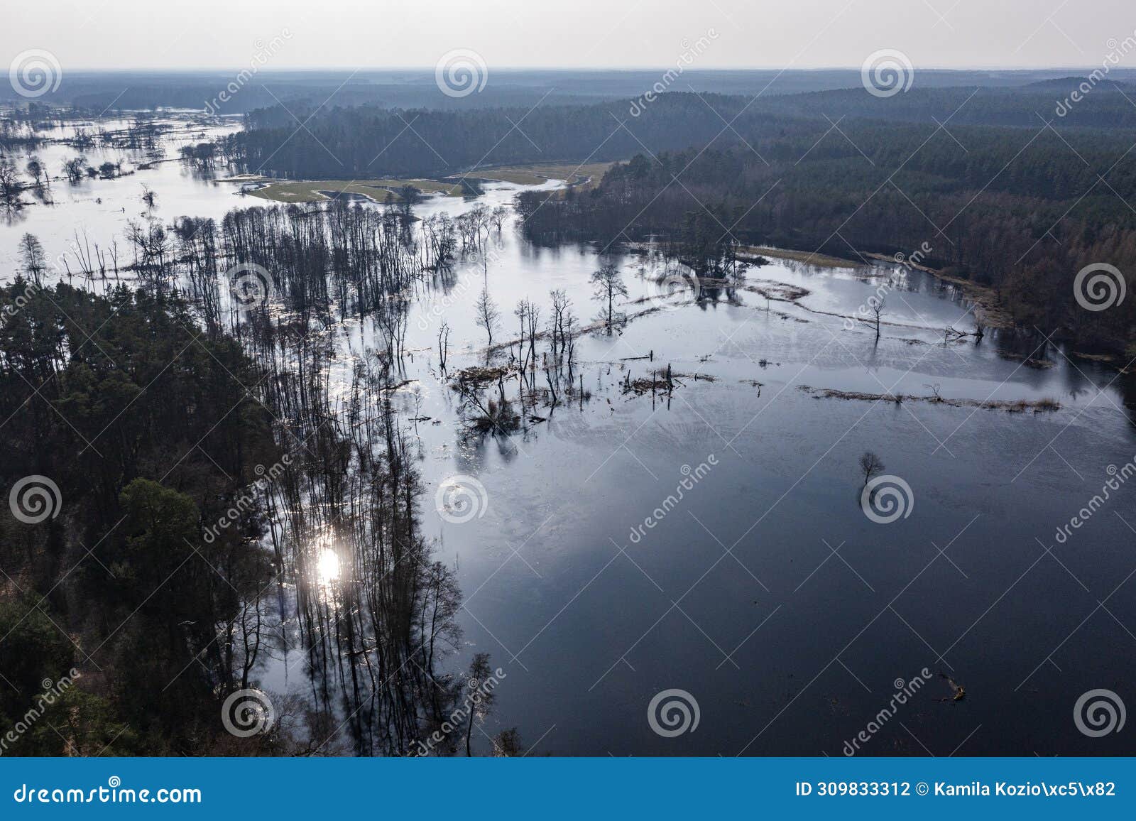 Flooded Fields, Meadows and Forests during Excessive Rainfall. a River ...