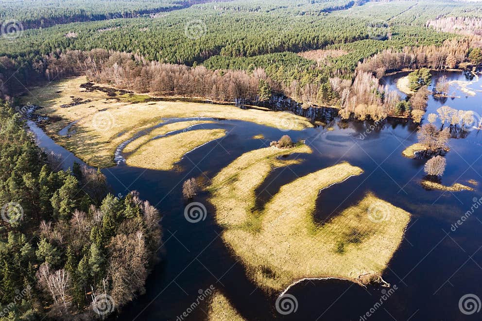 Flooded Fields, Meadows and Forests during Excessive Rainfall. a River ...