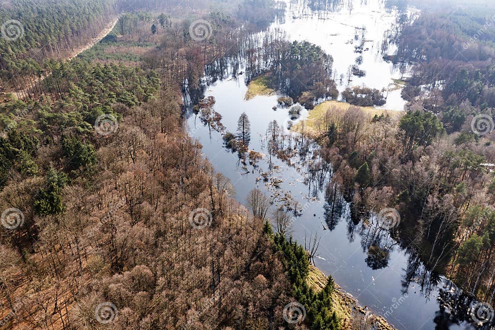 Flooded Fields, Meadows and Forests during Excessive Rainfall. a River ...