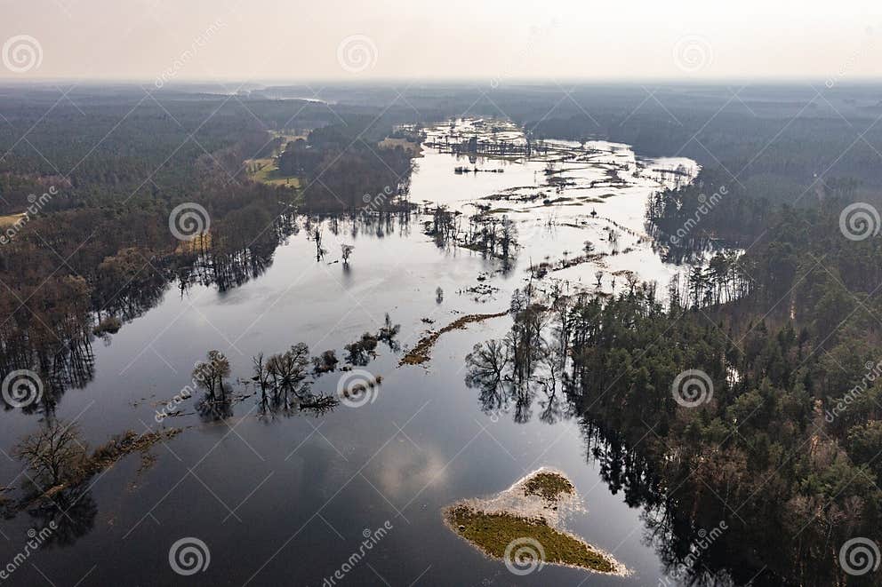 Flooded Fields, Meadows and Forests during Excessive Rainfall. a River ...