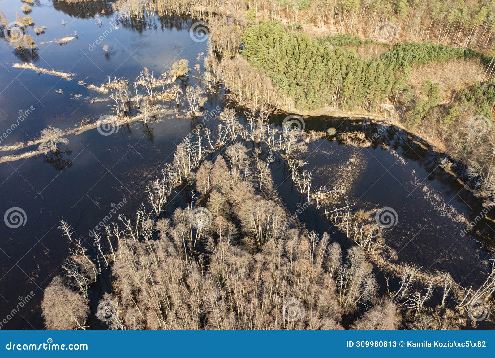 Flooded Fields, Meadows and Forests during Excessive Rainfall. a River ...