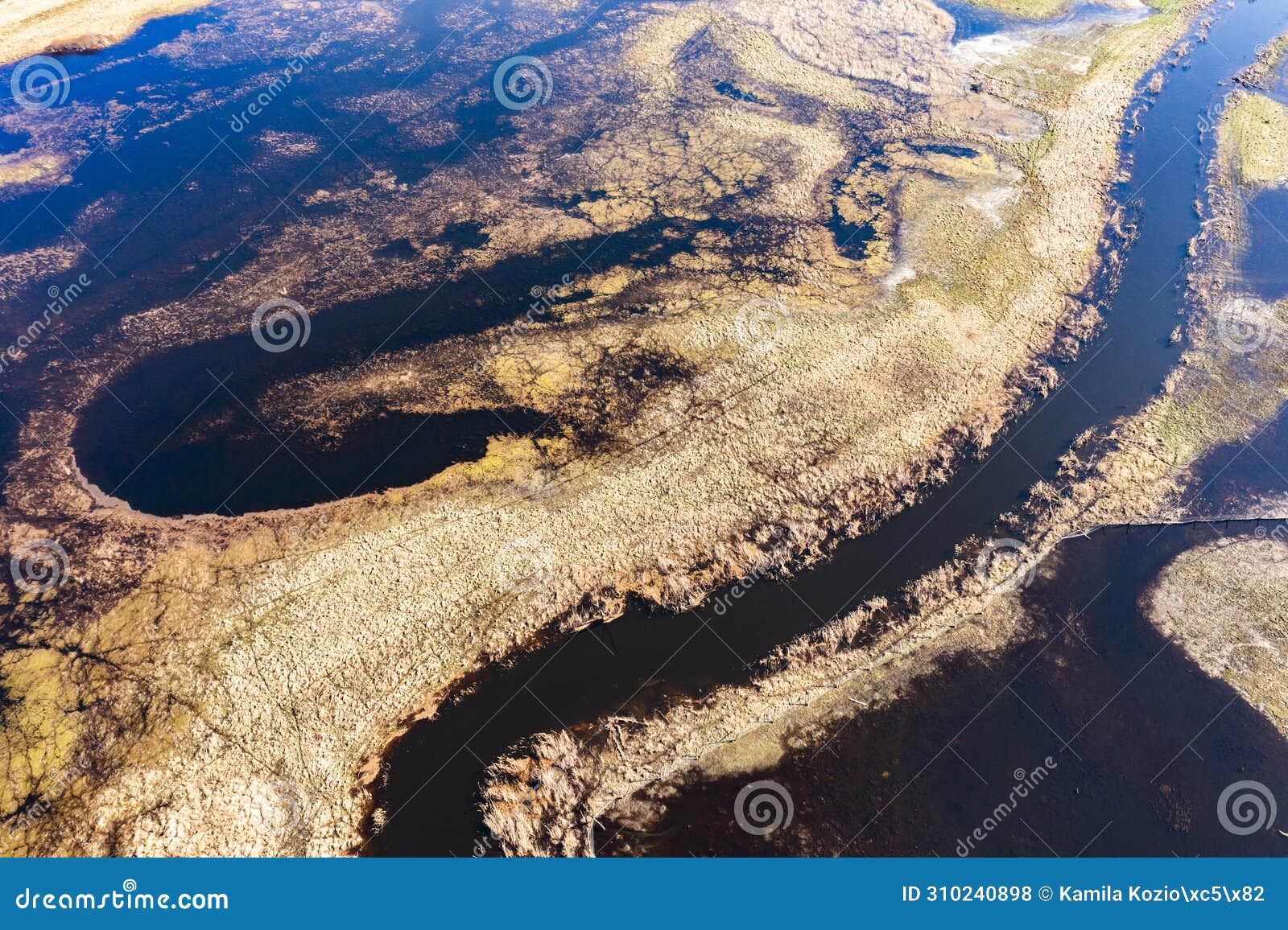 Flooded Fields, Meadows and Forests during Excessive Rainfall. a River ...