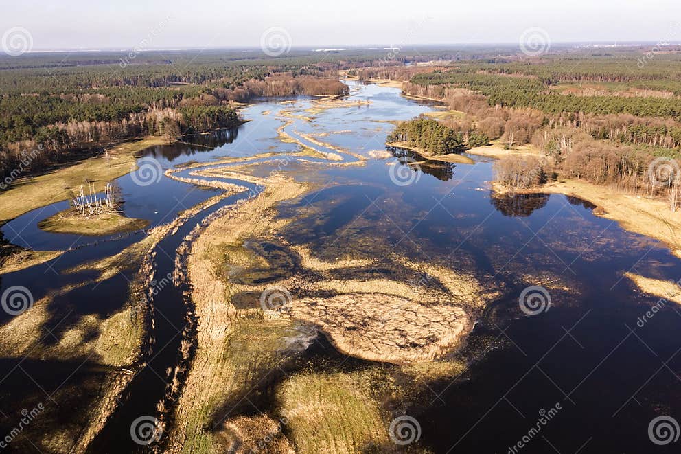 Flooded Fields, Meadows and Forests during Excessive Rainfall. a River ...