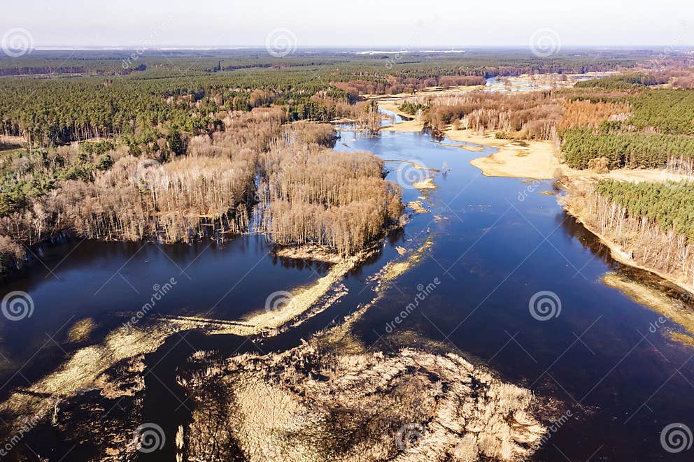 Flooded Fields, Meadows and Forests during Excessive Rainfall. a River ...