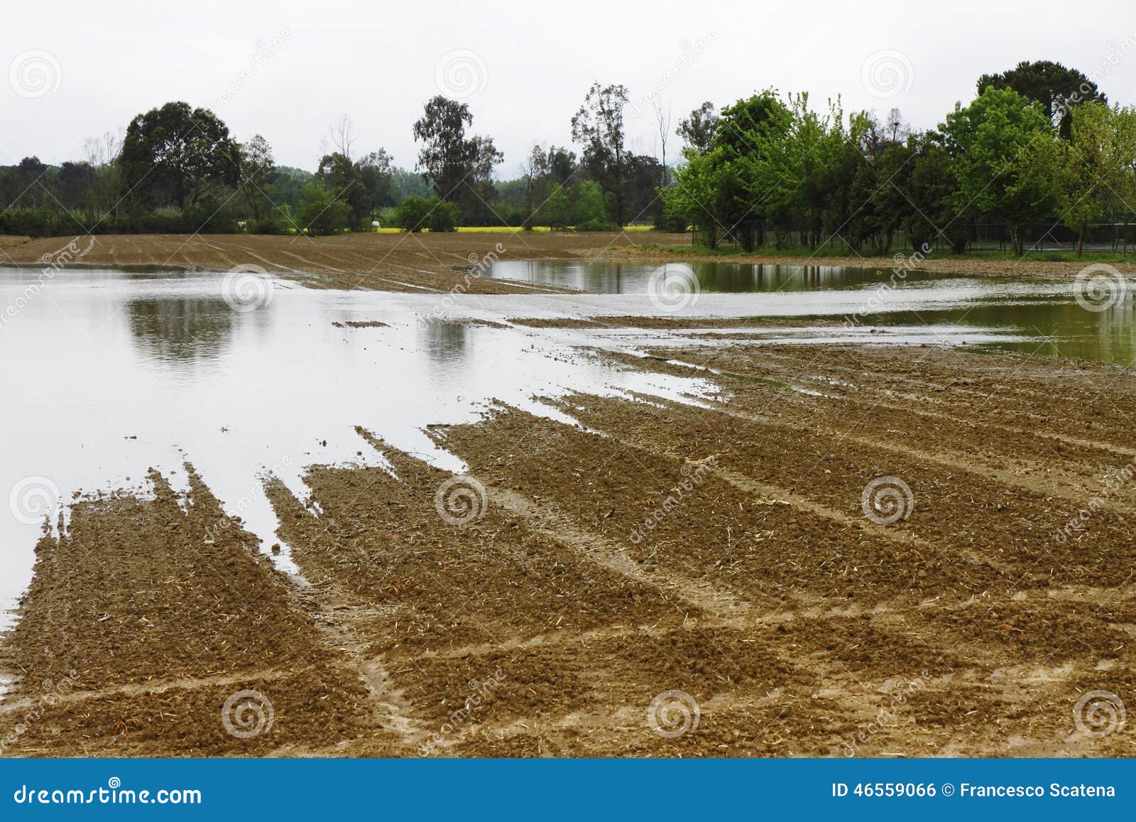 Flooded fields stock photo. Image of global, landscape - 46559066