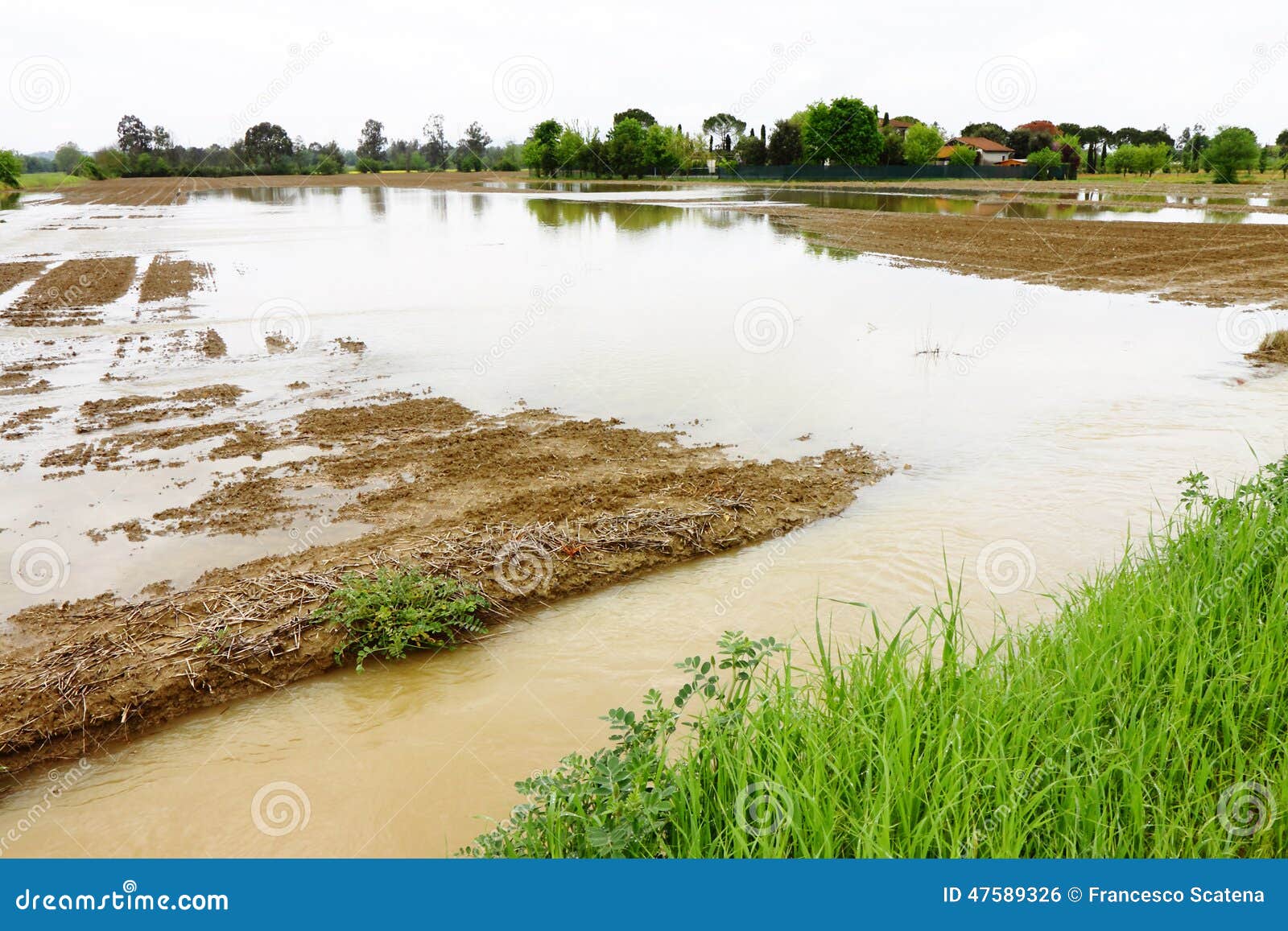 Flooded fields stock photo. Image of damaged, damage - 47589326