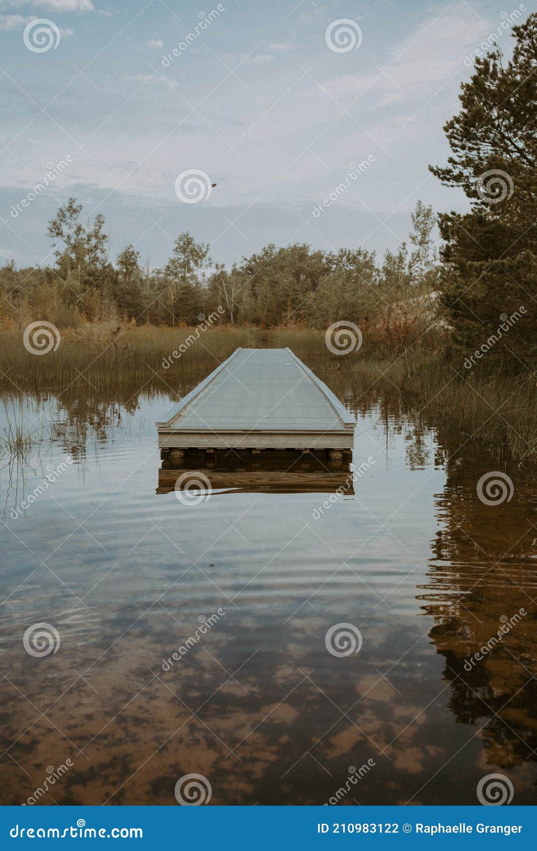 Flooded pathway stock photo. Image of nature, wetland - 210983122