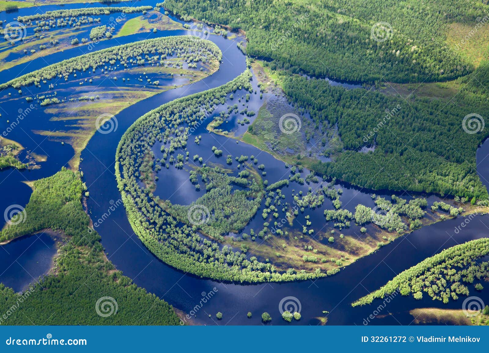 Flooded forest plains stock photo. Image of flight, view - 32261272