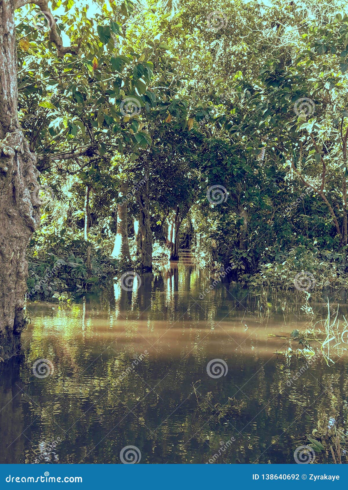 Flooded Grounds stock photo. Image of rains, monsoon - 138640692