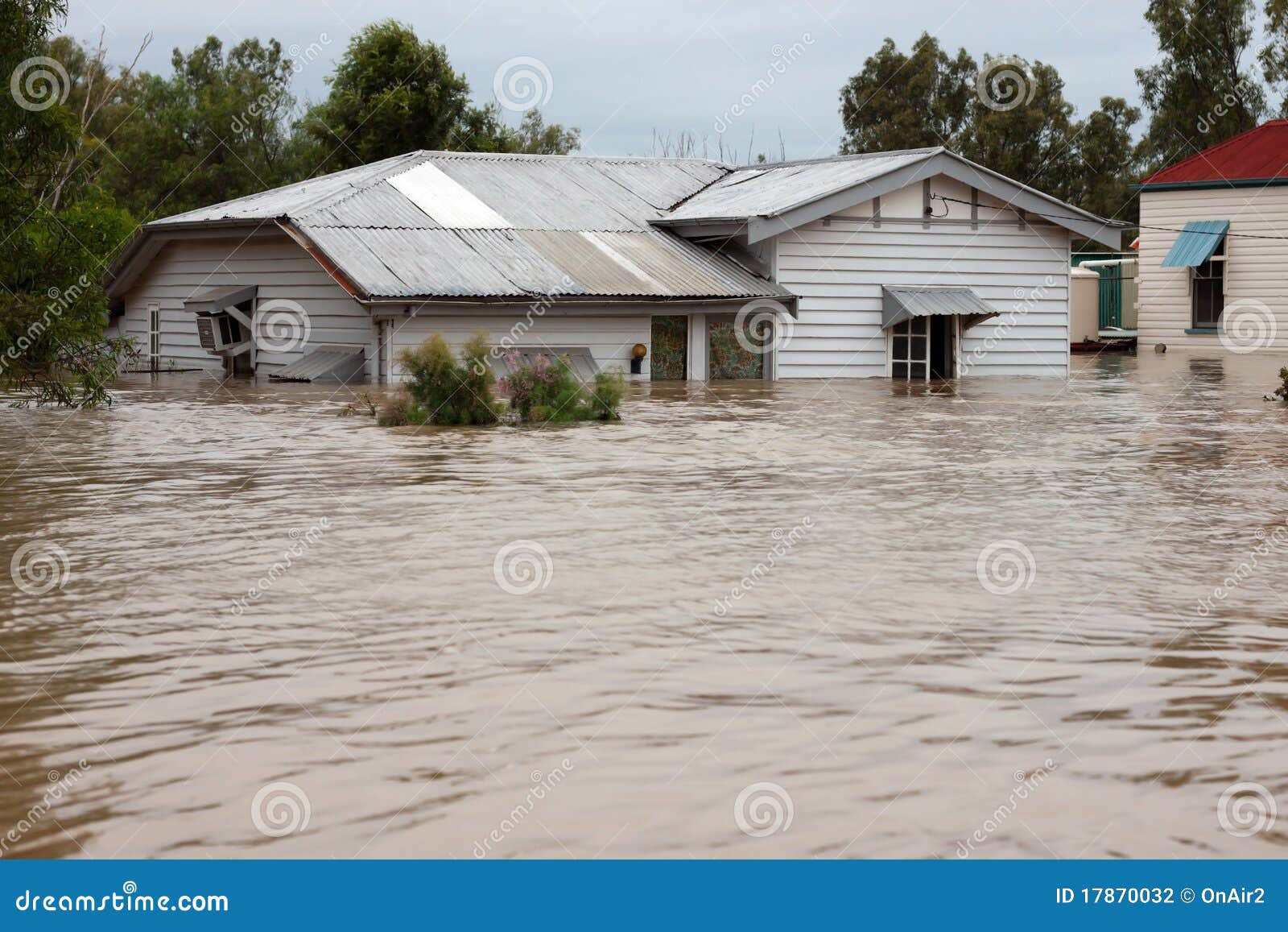 Home Flooded By Upstairs Or Roof Damage - Woman Holding Bucket While ...
