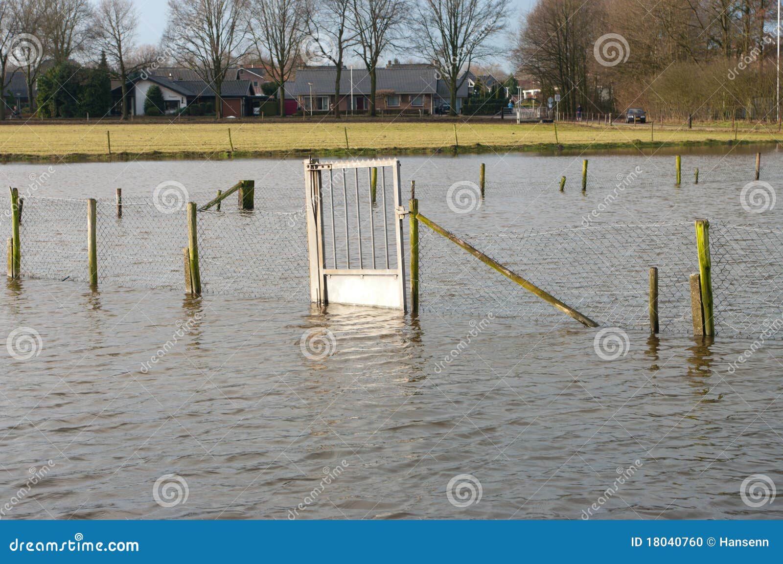 Flooded meadow stock photo. Image of grassland, flood - 18040760