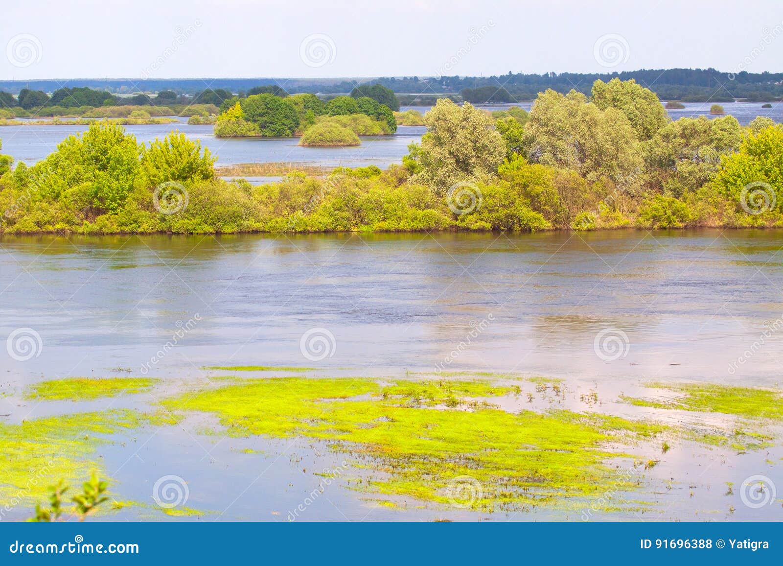 Flooded Meadows in the Spring Stock Photo - Image of flood, blue: 91696388