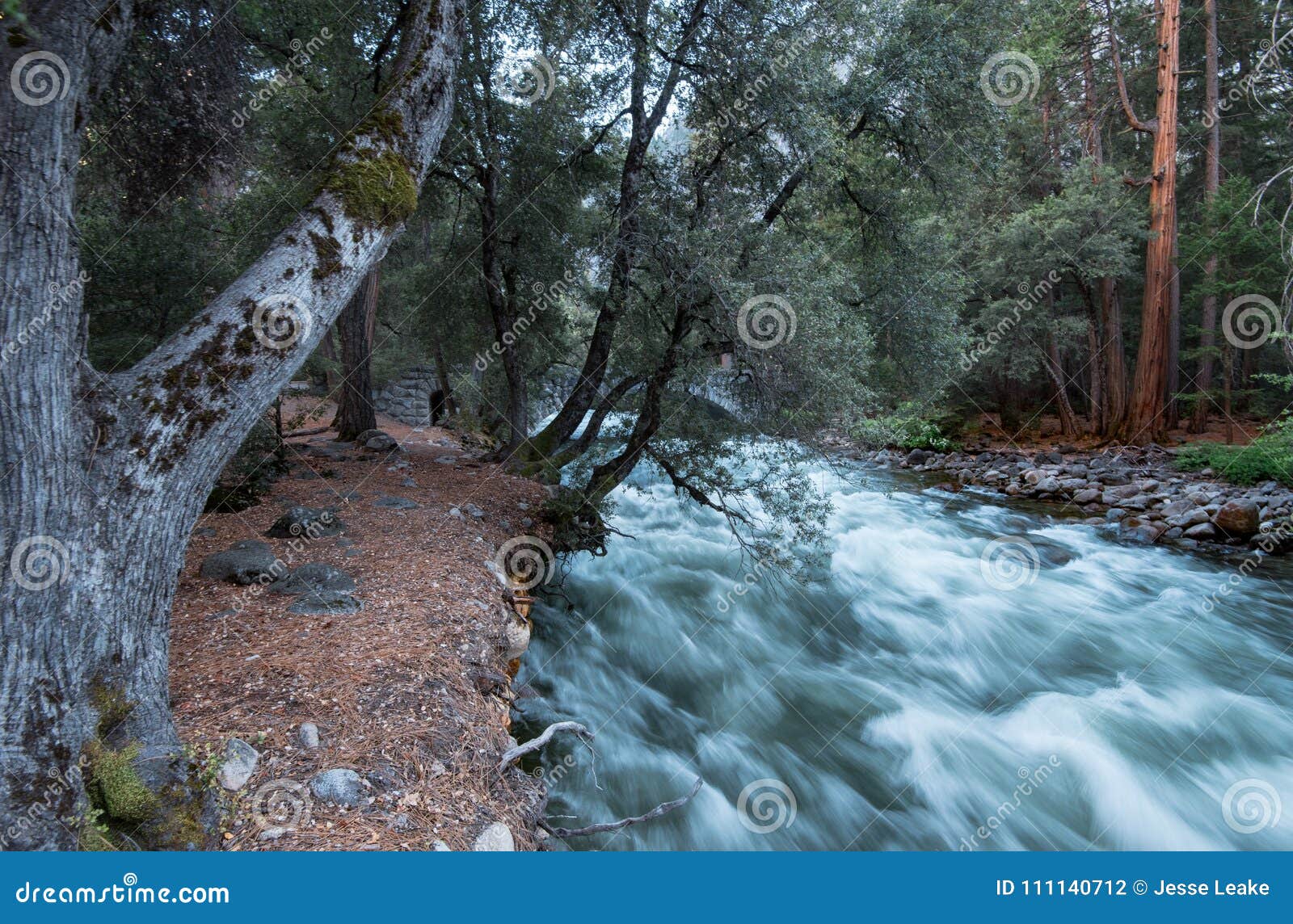 The Flooded Merced River in Spring Stock Photo - Image of hour, glacier ...