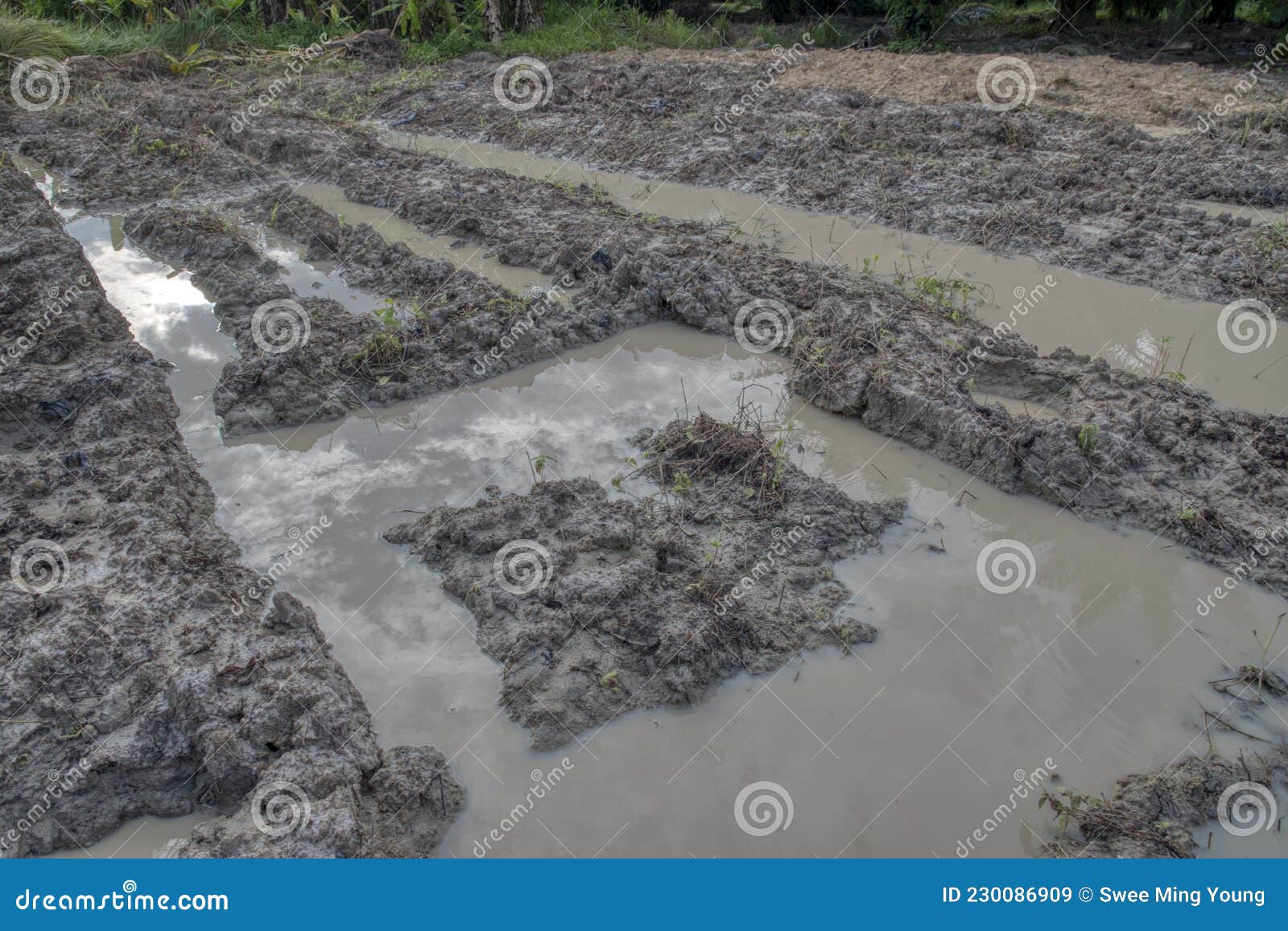 Flooded Muddy Ground Around Electrical Transmission Tower Stock Image ...