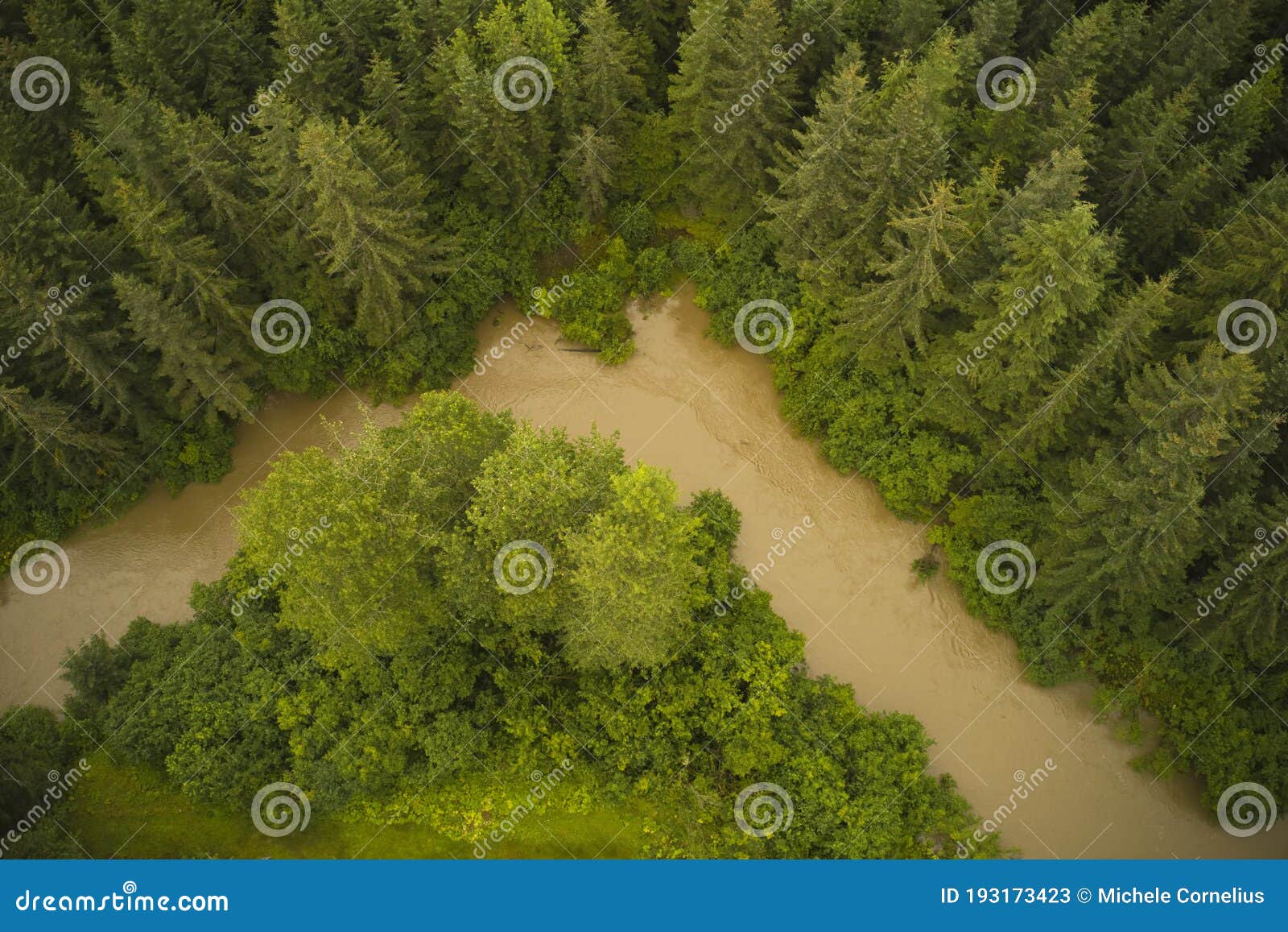 Muddy River Stream Inside A Tropical Rainforest. Royalty-Free Stock ...
