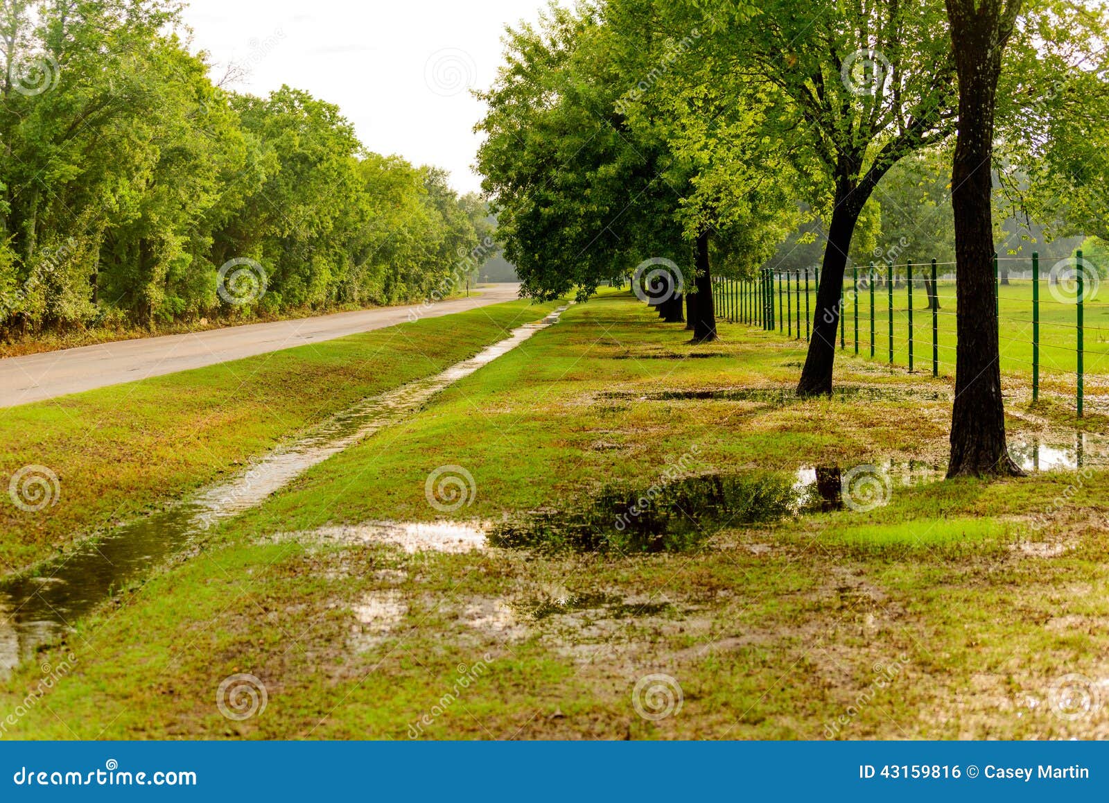 Ponding Standing Water On A Flat Roof After Heavy Rain Royalty-Free ...