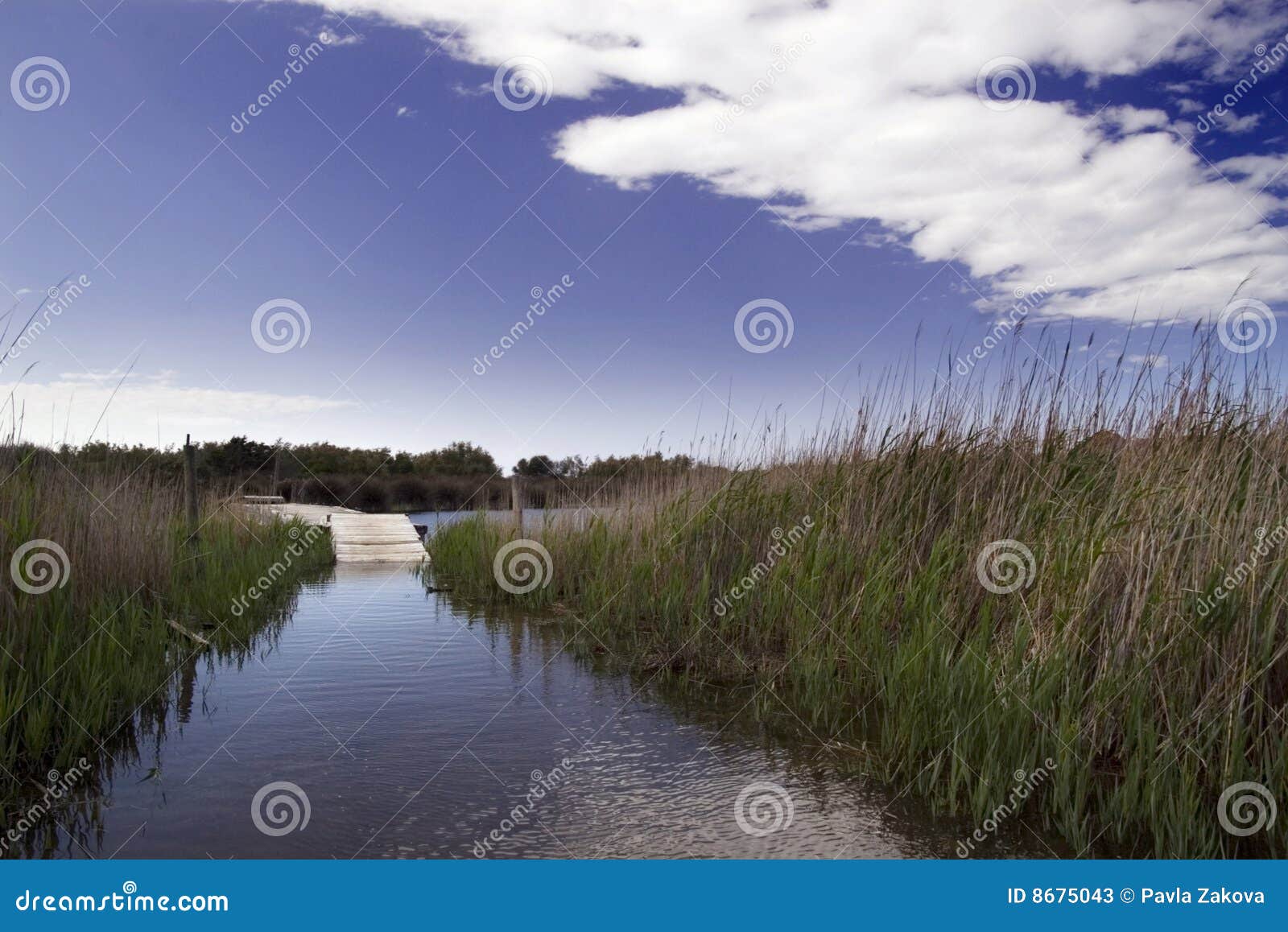 Flooded path stock image. Image of rural, reflected, scene - 8675043