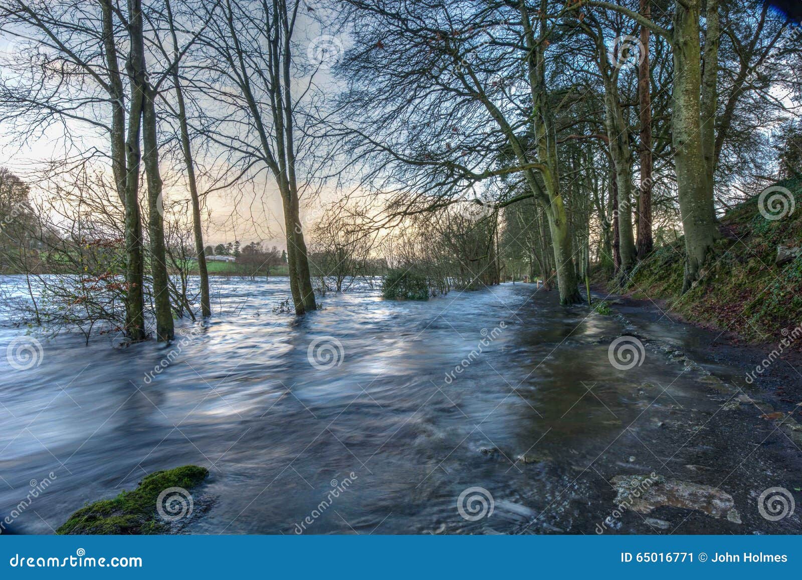 Flooded Path stock image. Image of winter, exposure, castleconnell ...