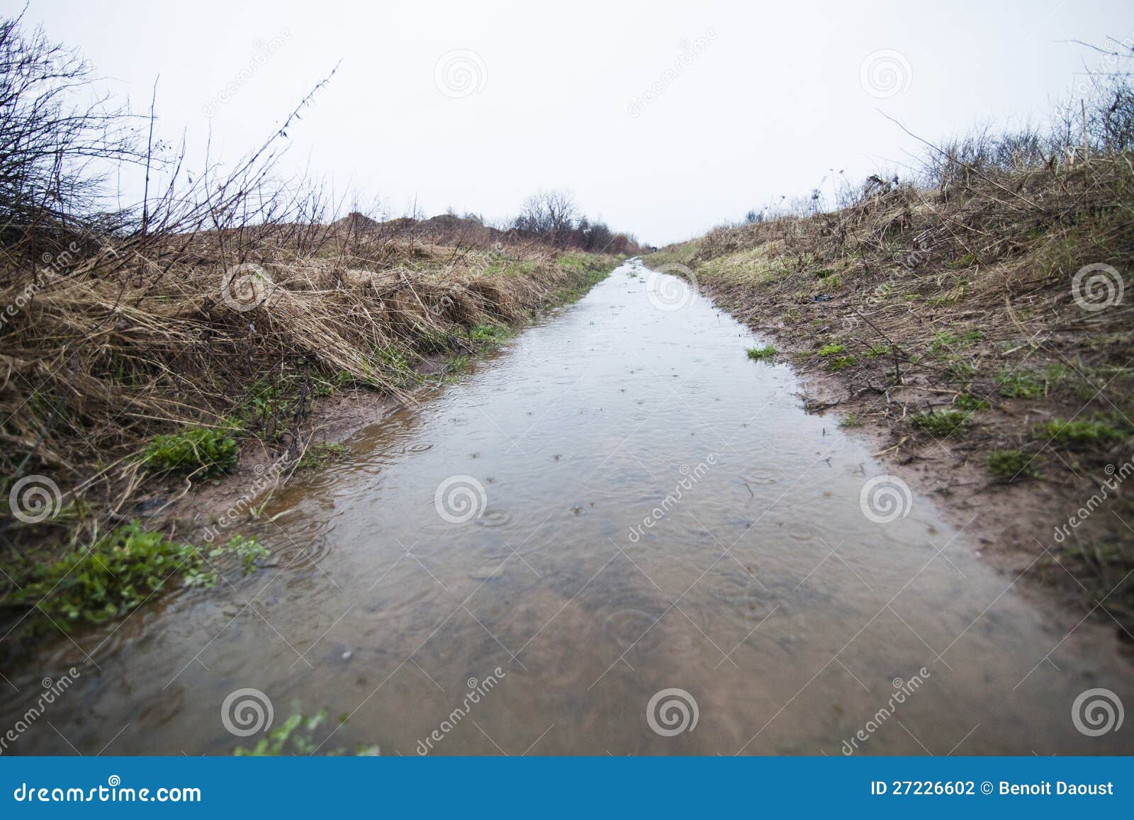 Flooded Path (ditch) stock photo. Image of dirt, flow - 27226602