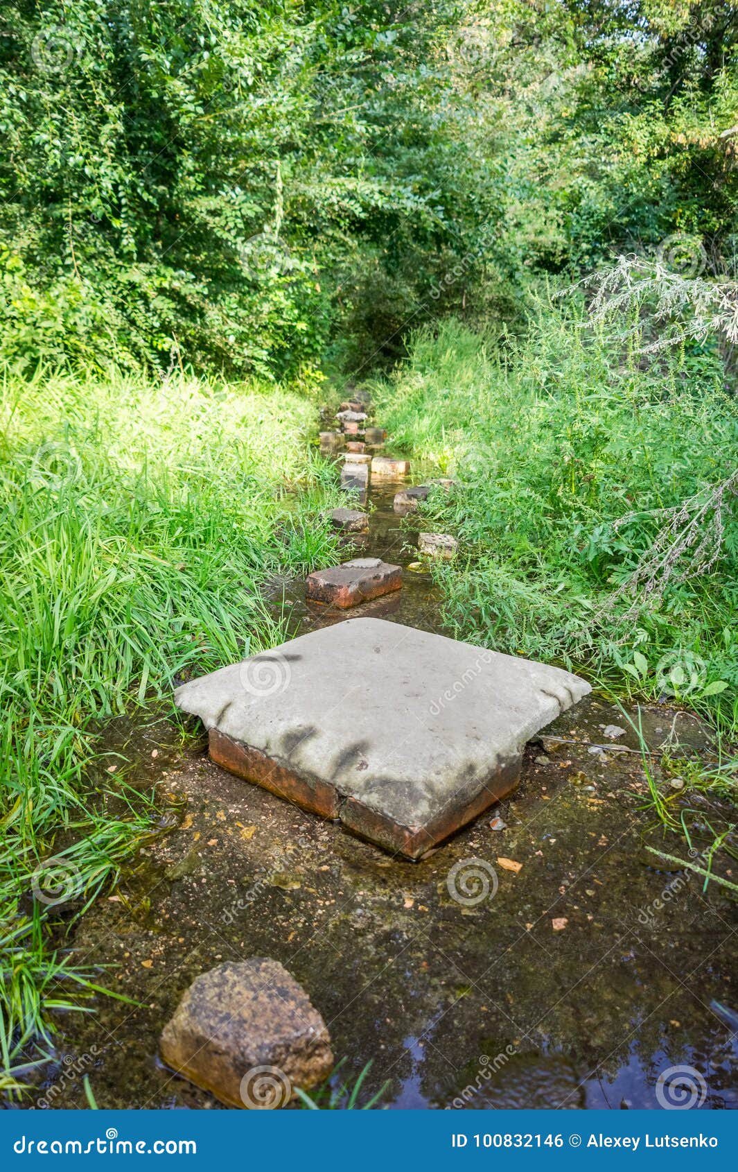 Flooded Path in the Summer. the Concept of daily Obstacles Stock Photo ...