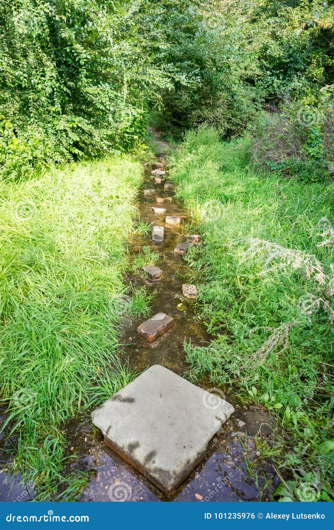 Flooded Path in the Summer. the Concept of daily Obstacles Stock Photo ...