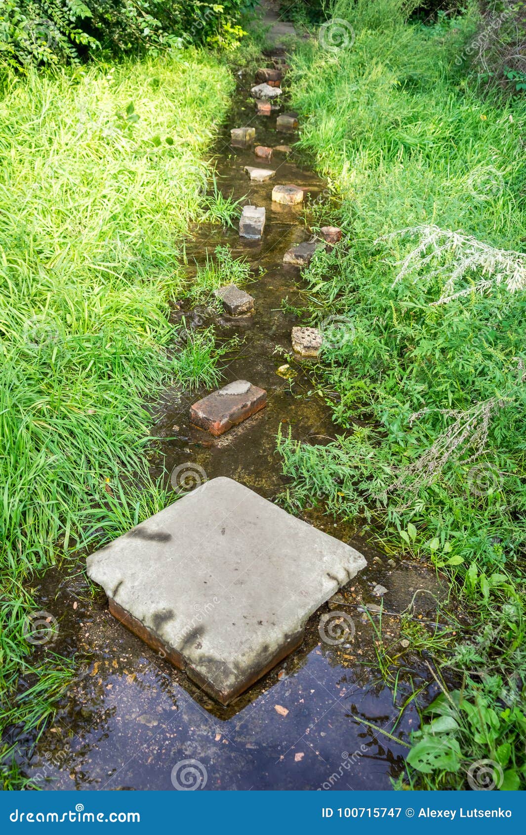 Flooded Path in the Summer. the Concept of daily Obstacles Stock Image ...