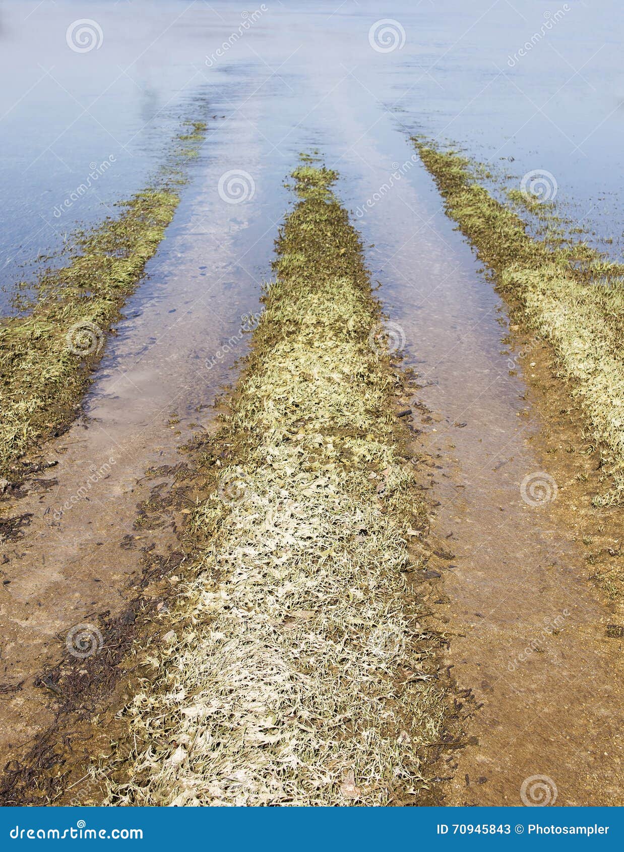 Flooded path to fields stock image. Image of overflow - 70945843