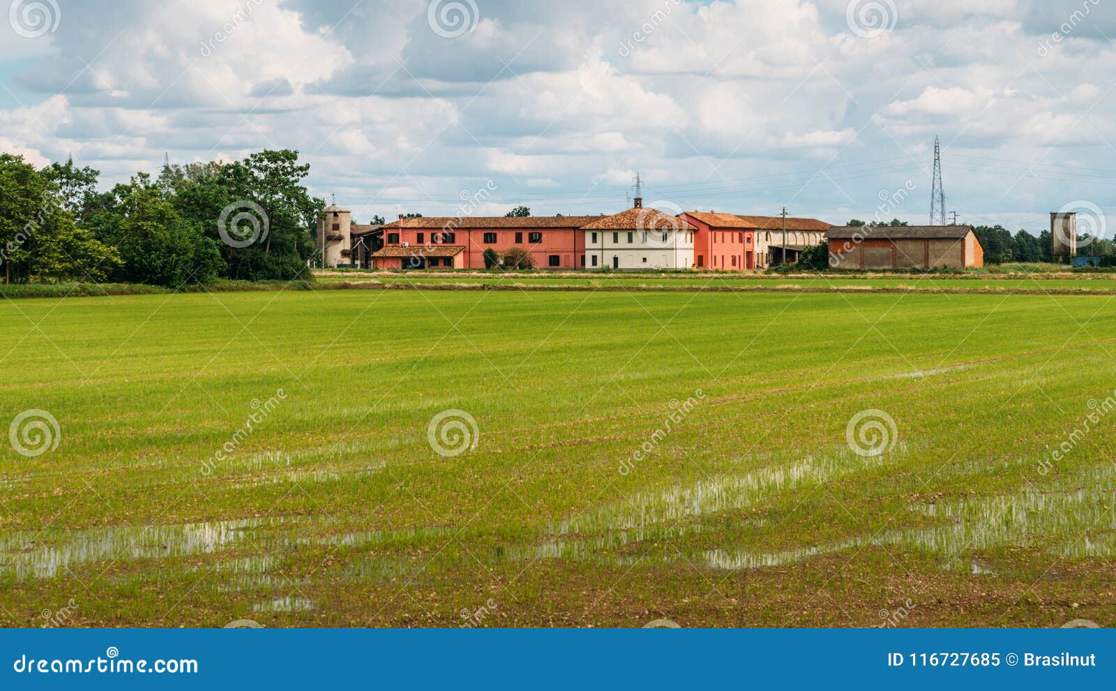 Flooded Rice Paddy Fields in Rural Lombardy, Italy Stock Image - Image ...