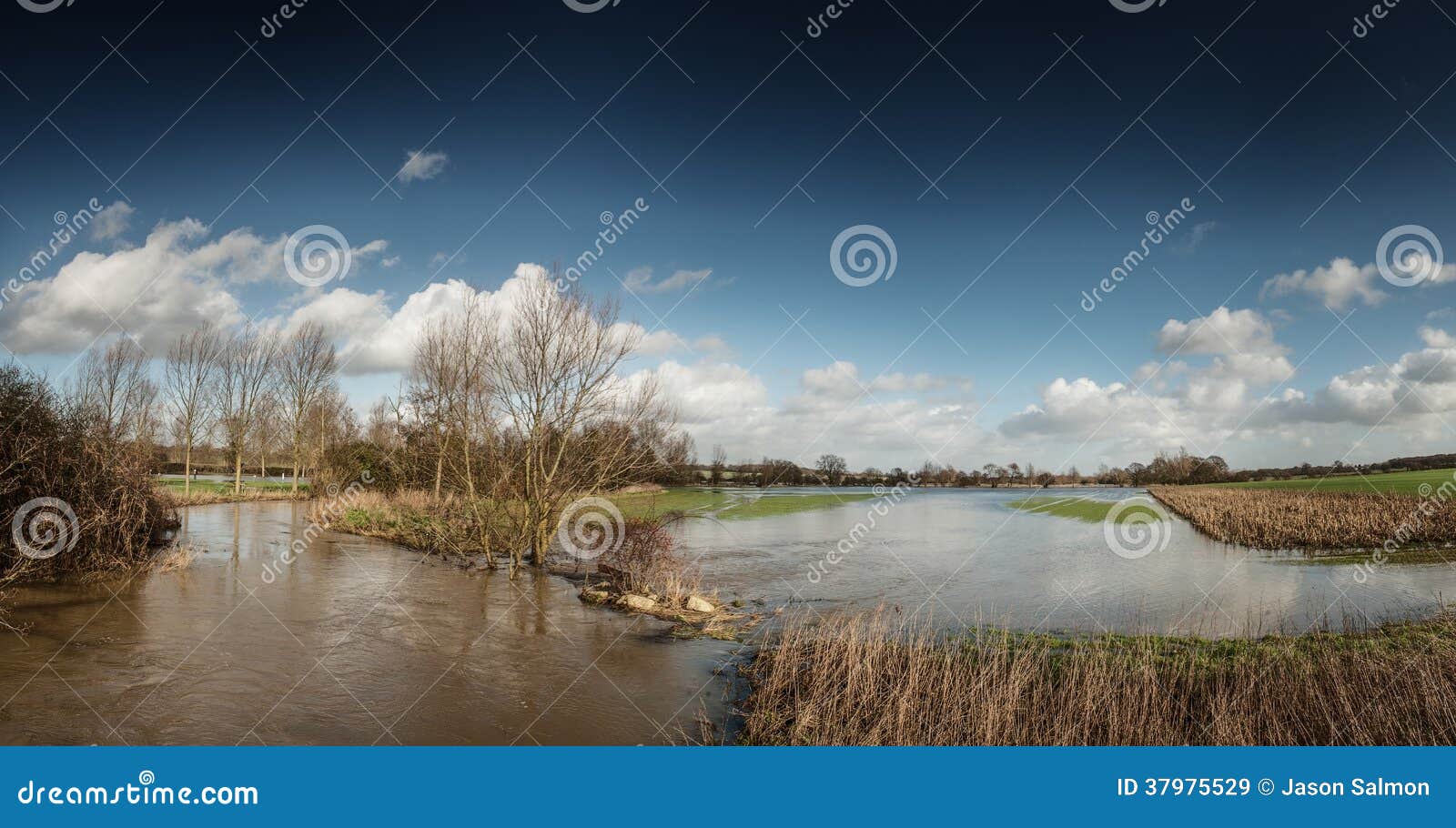 Flooded river stock image. Image of outdoors, open, forest - 37975529