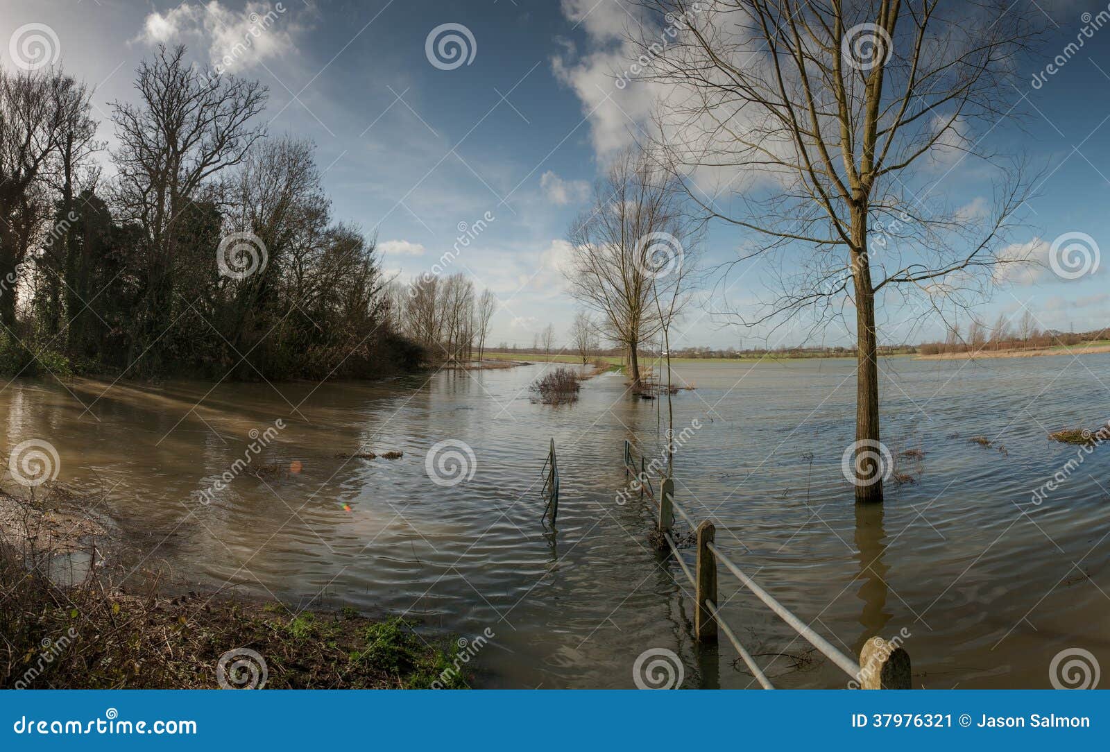 Flooded river stock image. Image of overflowing, tree - 37976321
