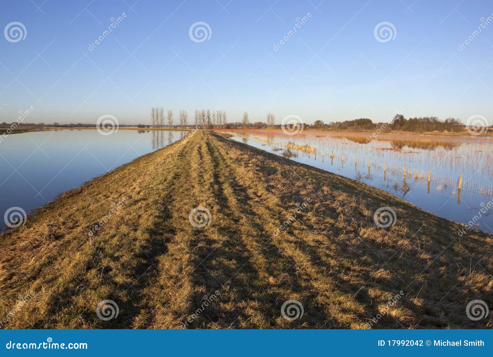 Flooded river bank stock photo. Image of river, colours - 17992042