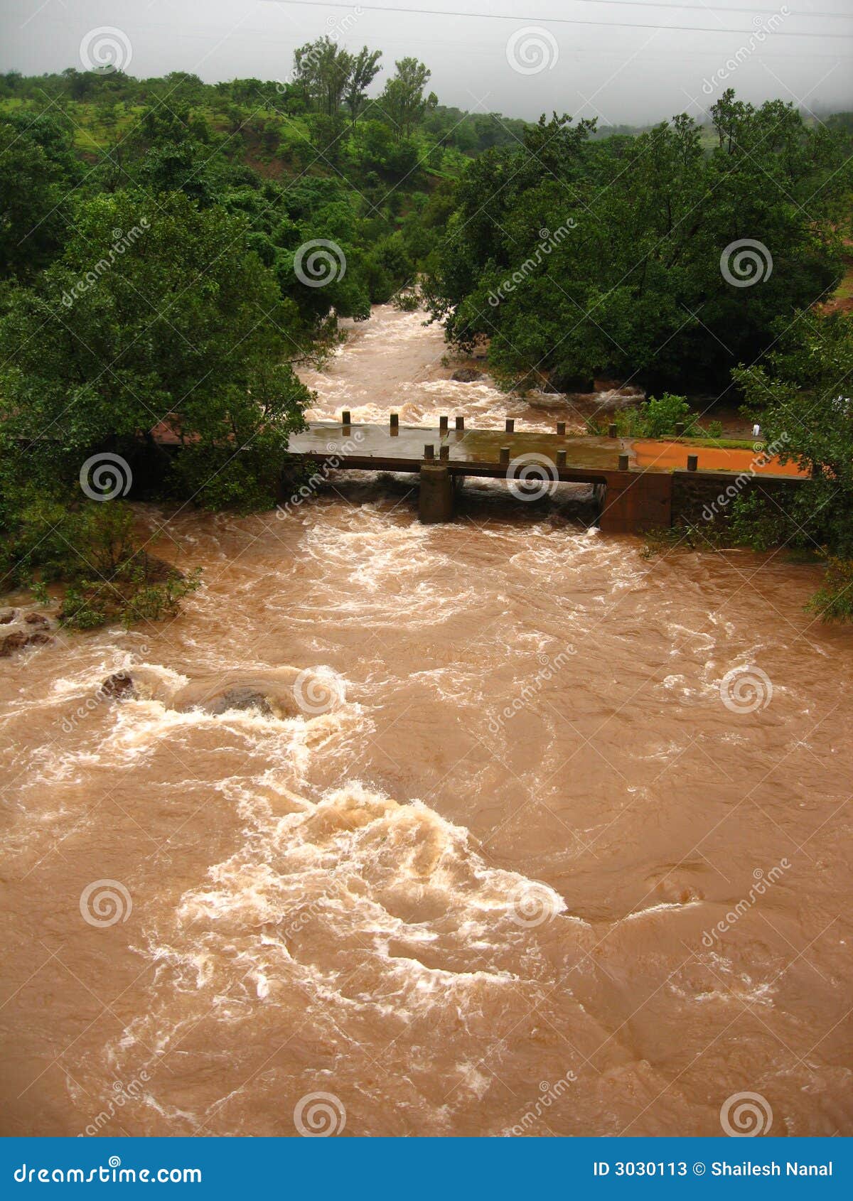 Flooded River in Countryside Stock Image - Image of forestry, flooded ...
