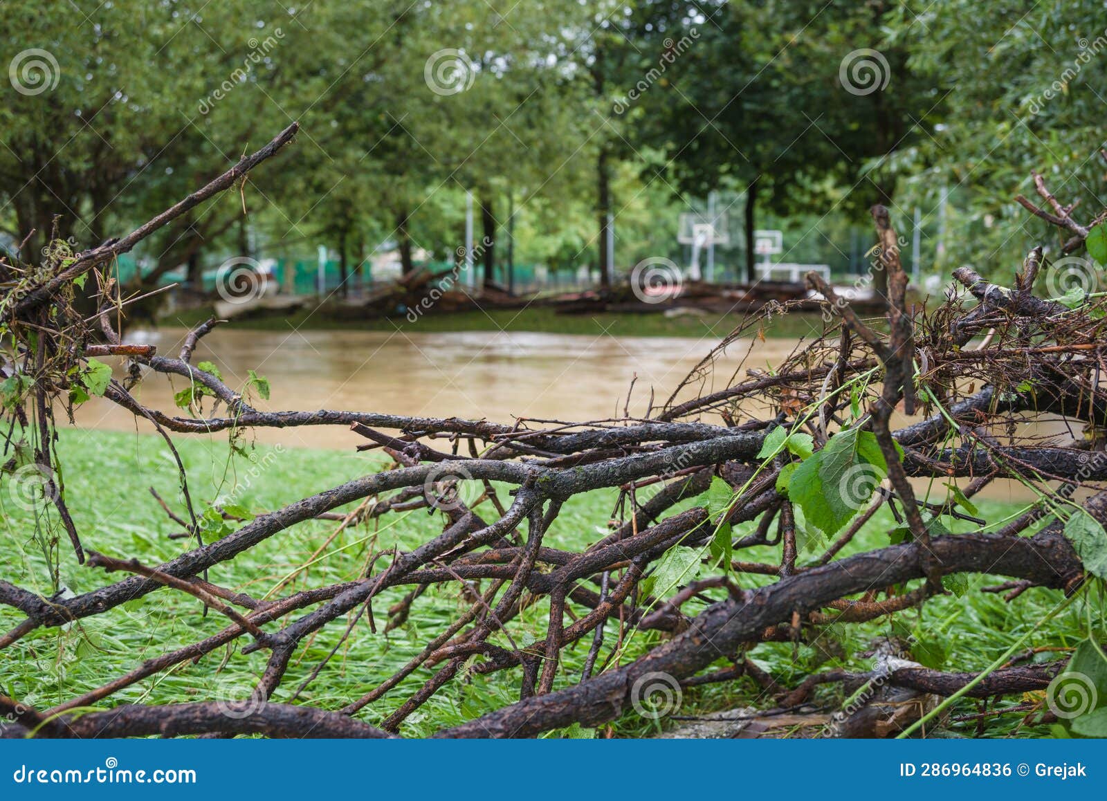 Flooded River after Heavy Rain Stock Photo - Image of city, natural ...