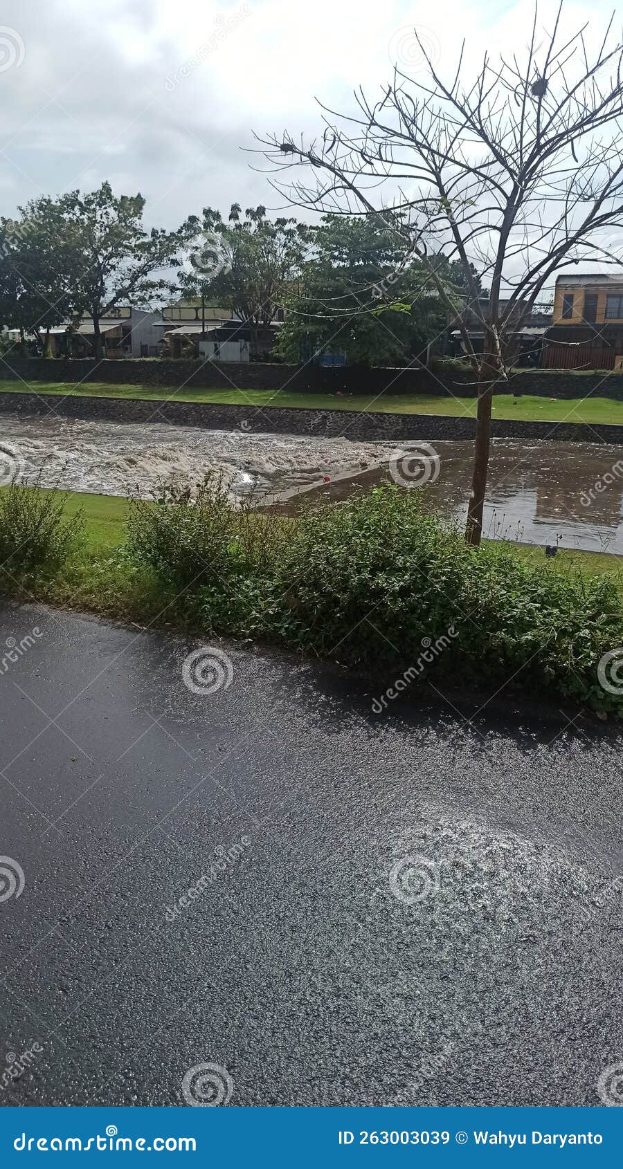 Flooded River Overflows Rural Nature Stock Image - Image of water, tree ...
