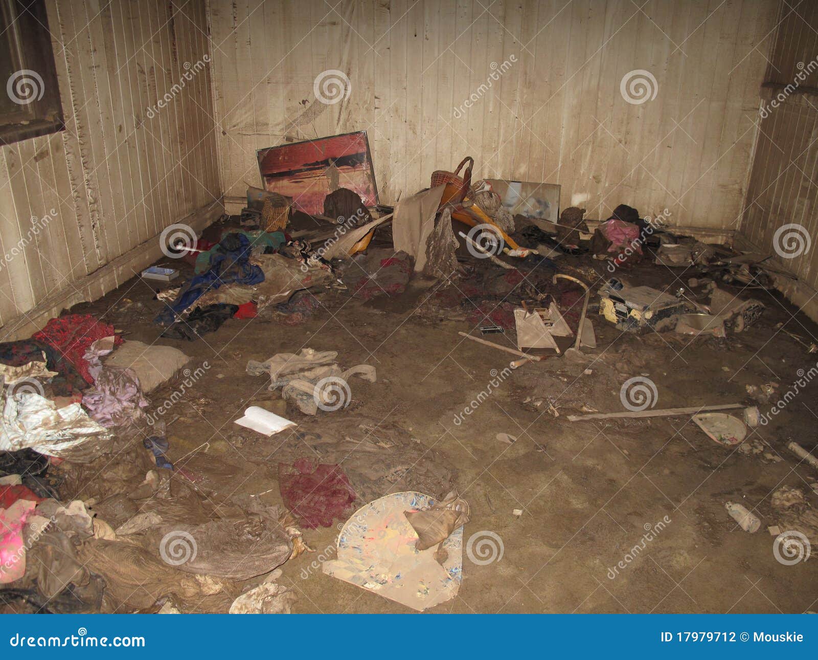 Flooded Room stock photo. Image of architecture, brisbane - 17979712