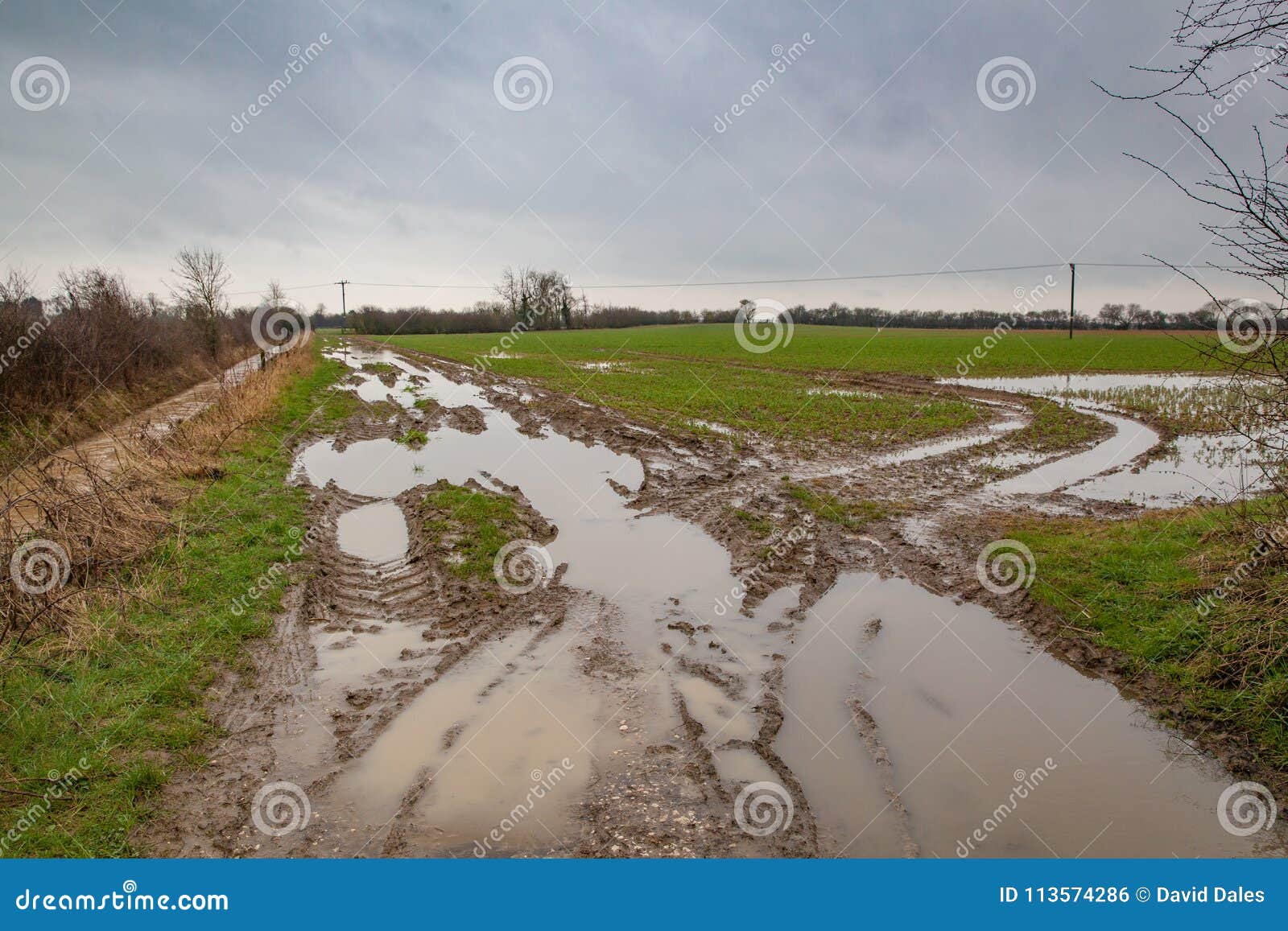 Flooded and Deeply Rutted Field Stock Photo - Image of drainage ...