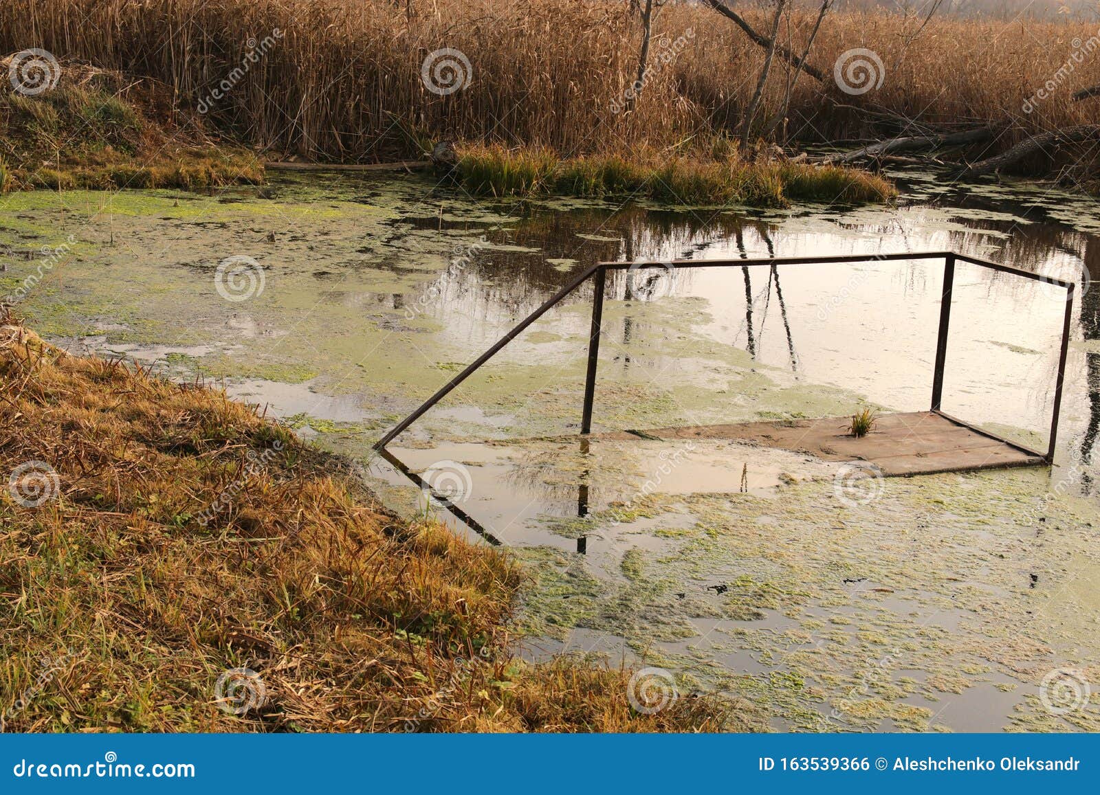 Flood of the River in the Spring. Stock Photo - Image of water, fast ...