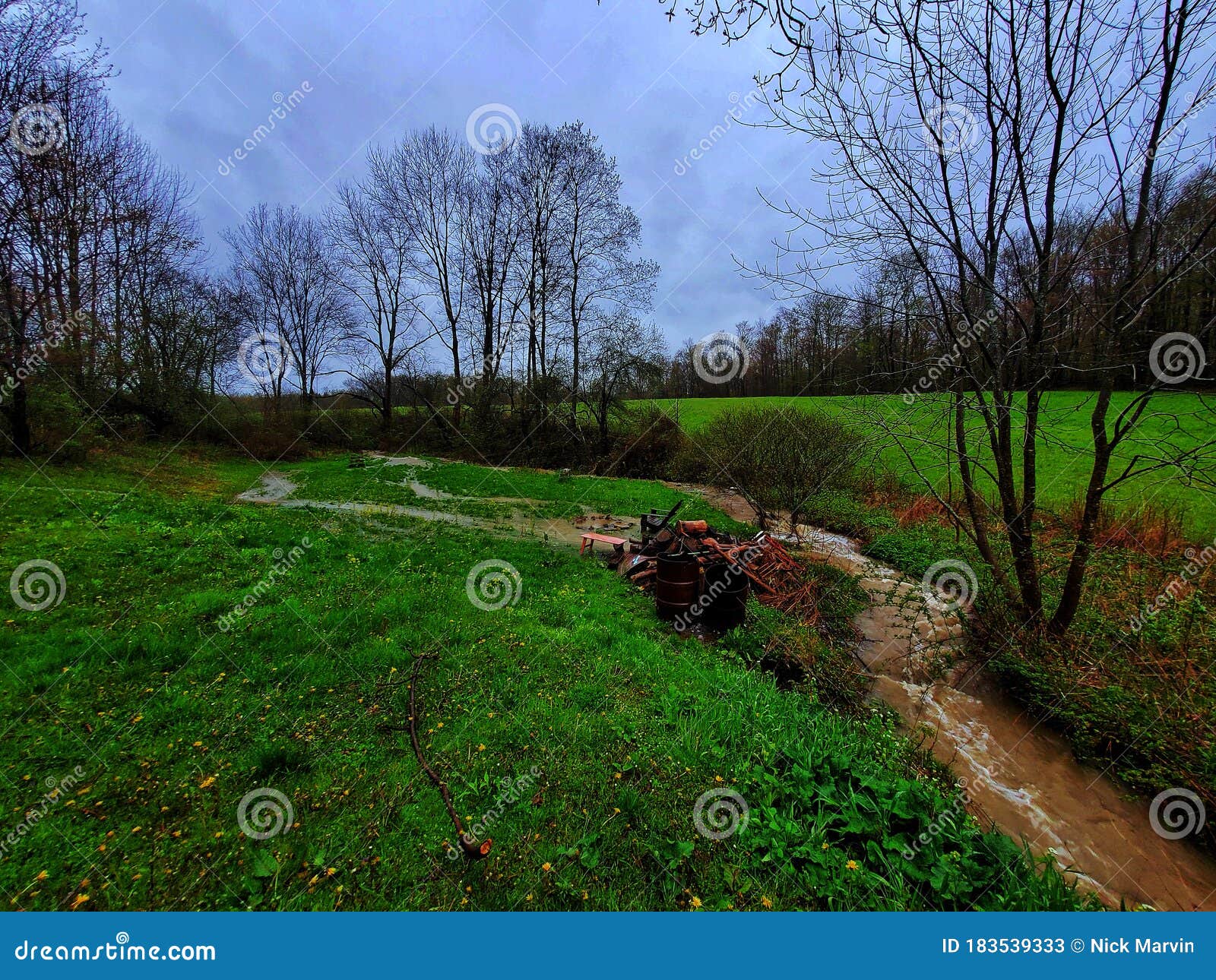 Flooded Stream through a Yard Stock Image - Image of yard, nature ...