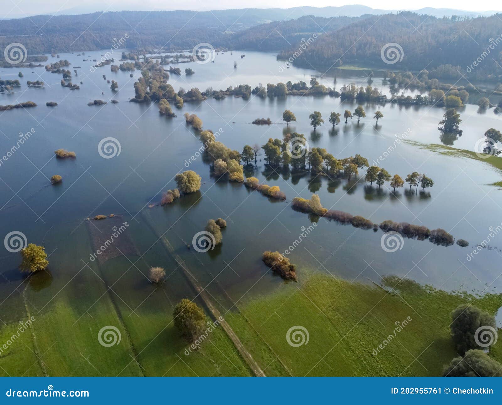 Flooded Valley Green Fields and Trees Forest Stock Image - Image of ...