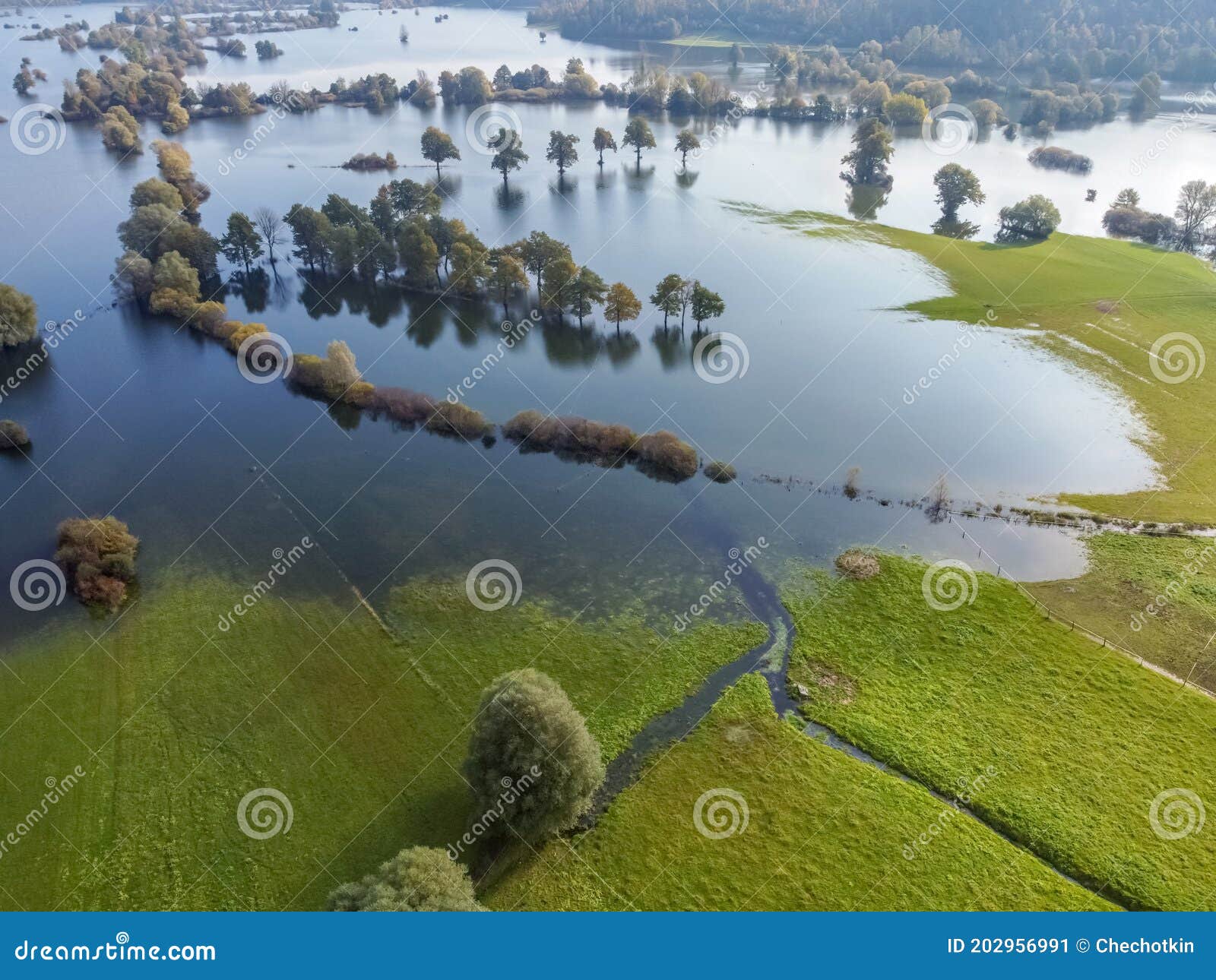 Flooded Valley Green Fields and Trees Forest Stock Image - Image of ...