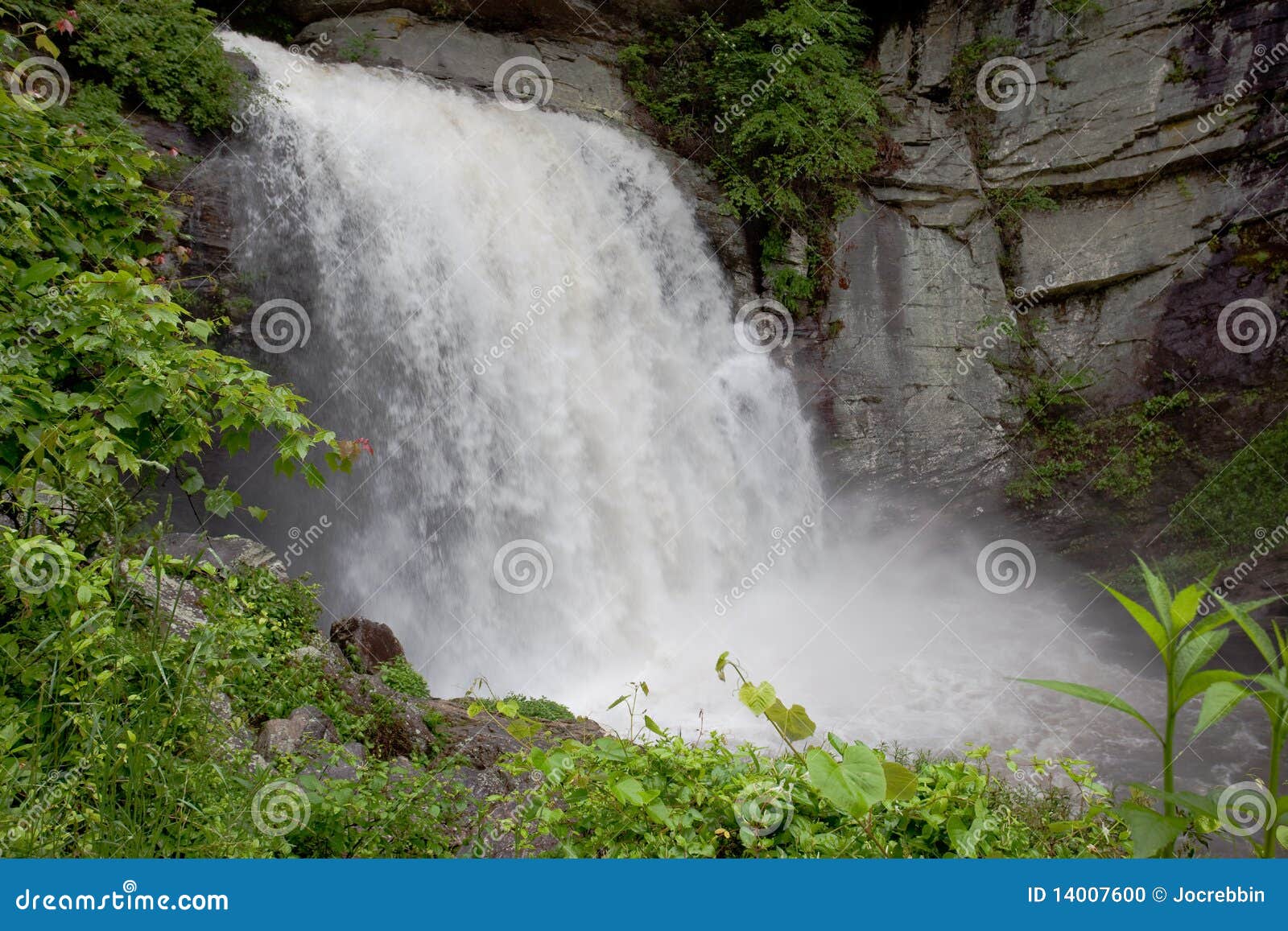 Flooded waterfall stock photo. Image of spilling, forest - 14007600
