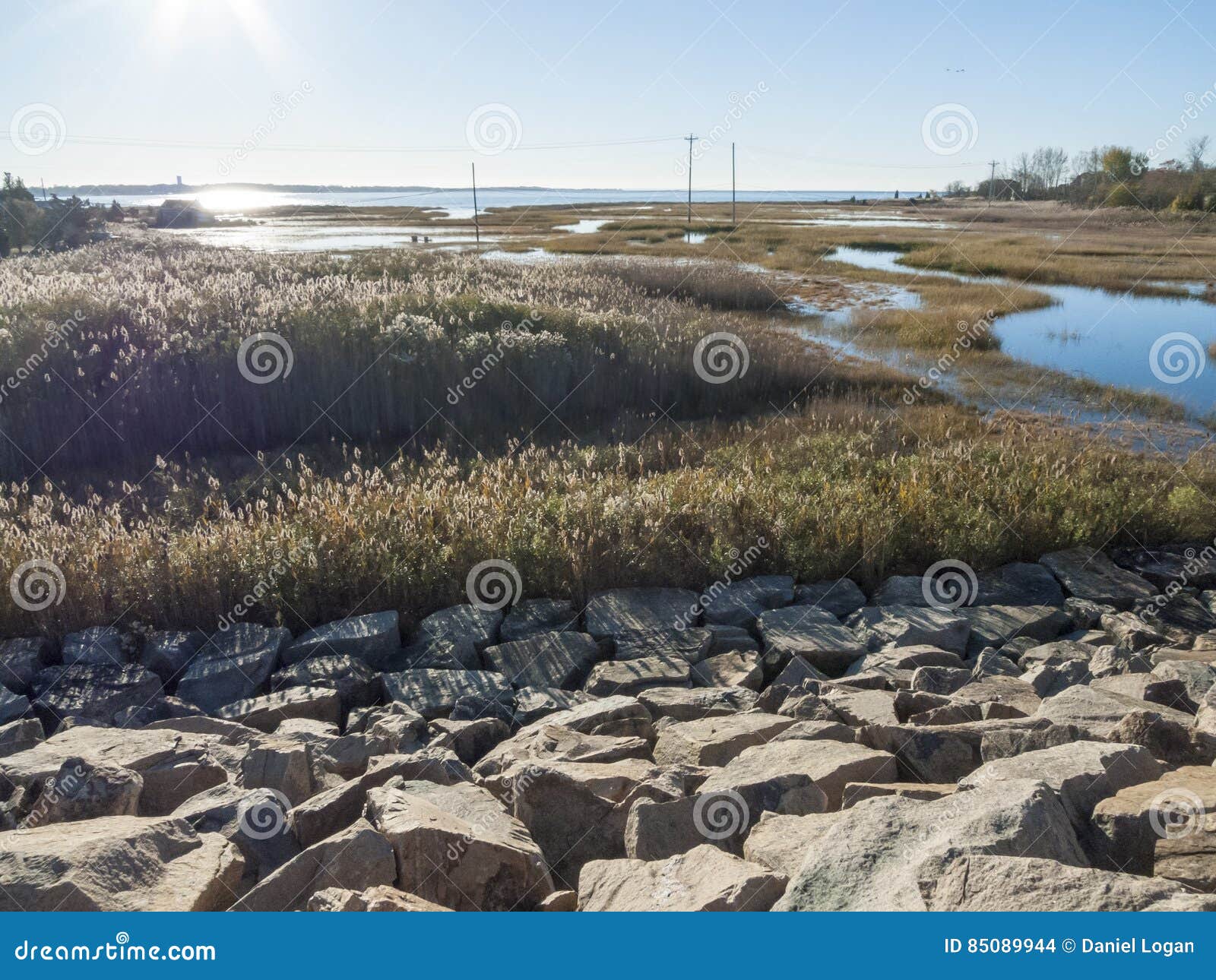 Flooded Wetland Spring Tide Stock Photo - Image of marsh, hurricane ...