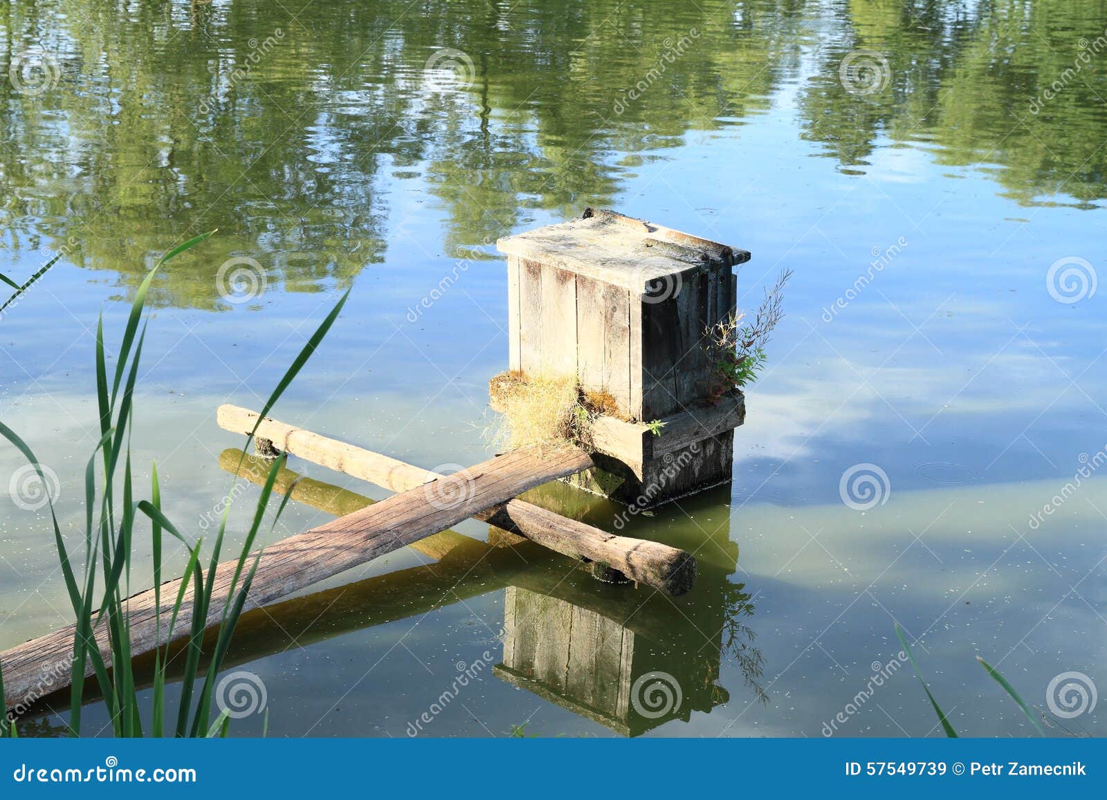 Floodgate of pond stock image. Image of floodgate, nature - 57549739