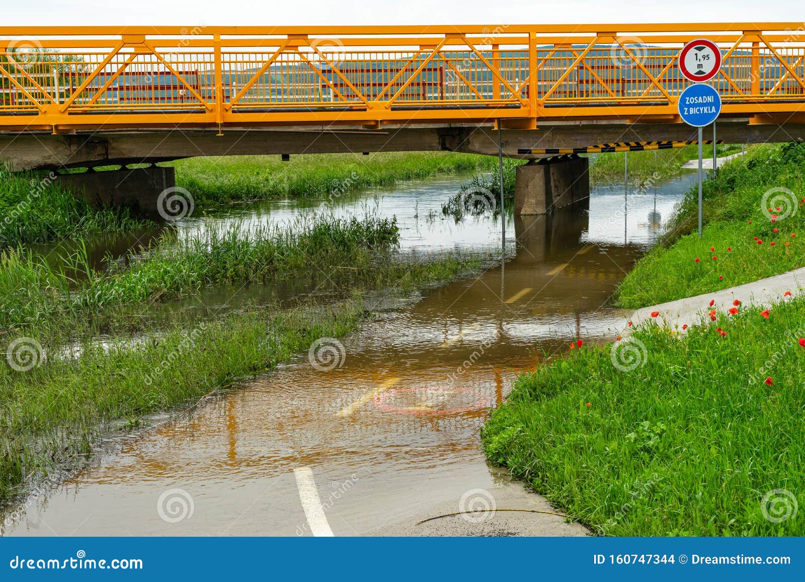 Flooding of the Bike Paths Along the River in the Spring Due To Global ...