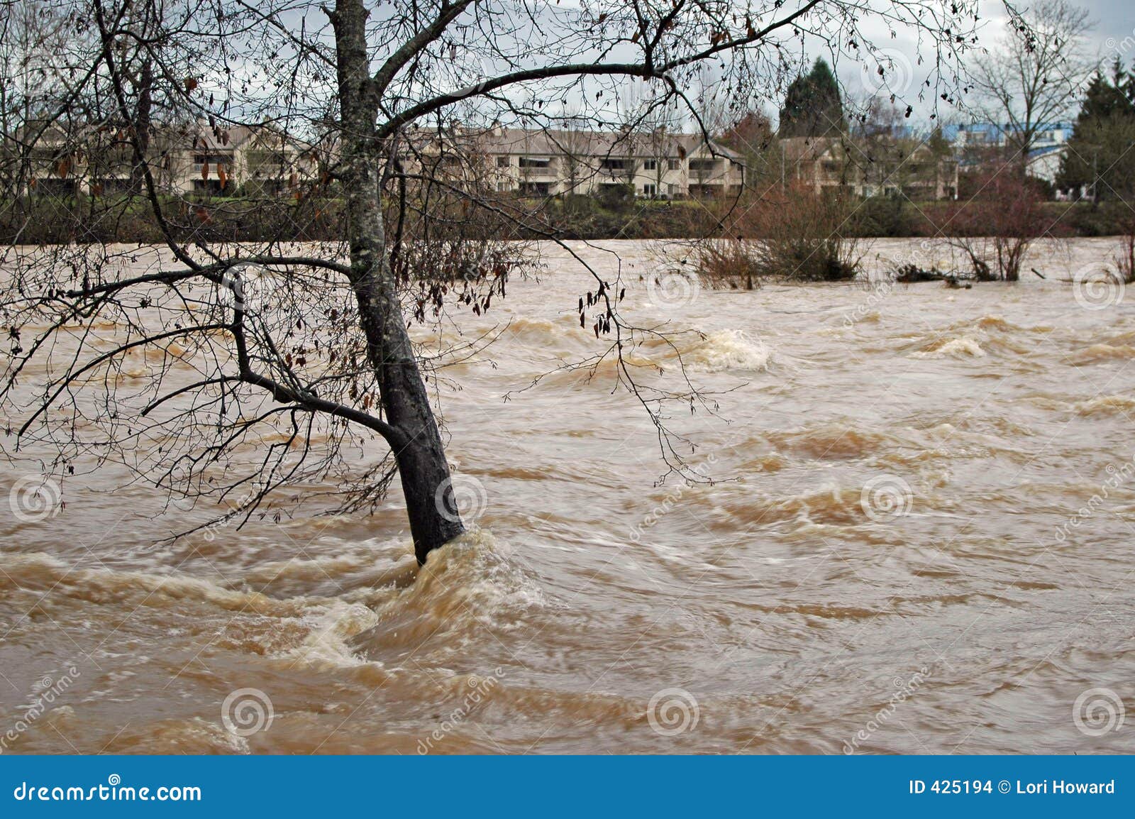Flooding River stock photo. Image of flood, condominiums - 425194