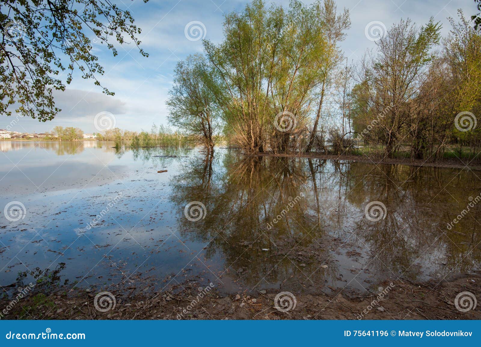 Flooding on the River Akhtuba Stock Photo - Image of volga, reservoir ...
