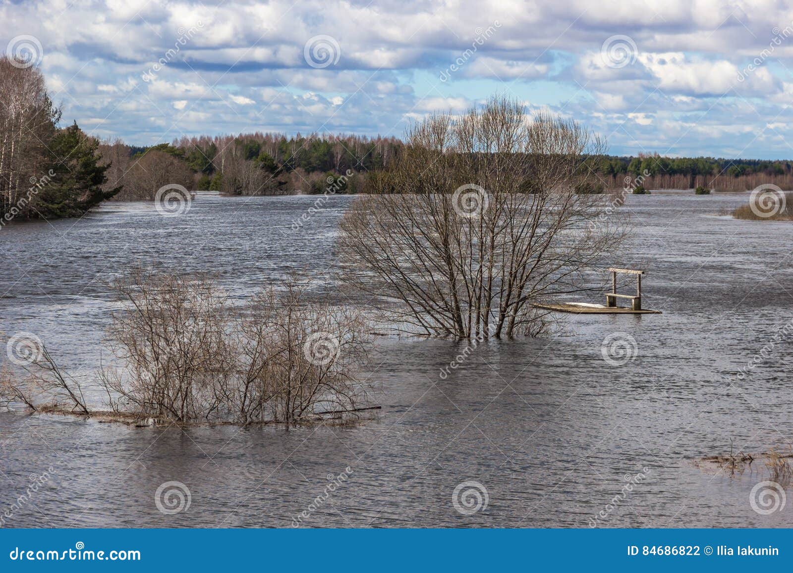 Flooding on the River during the Spring Flood. Stock Photo - Image of ...