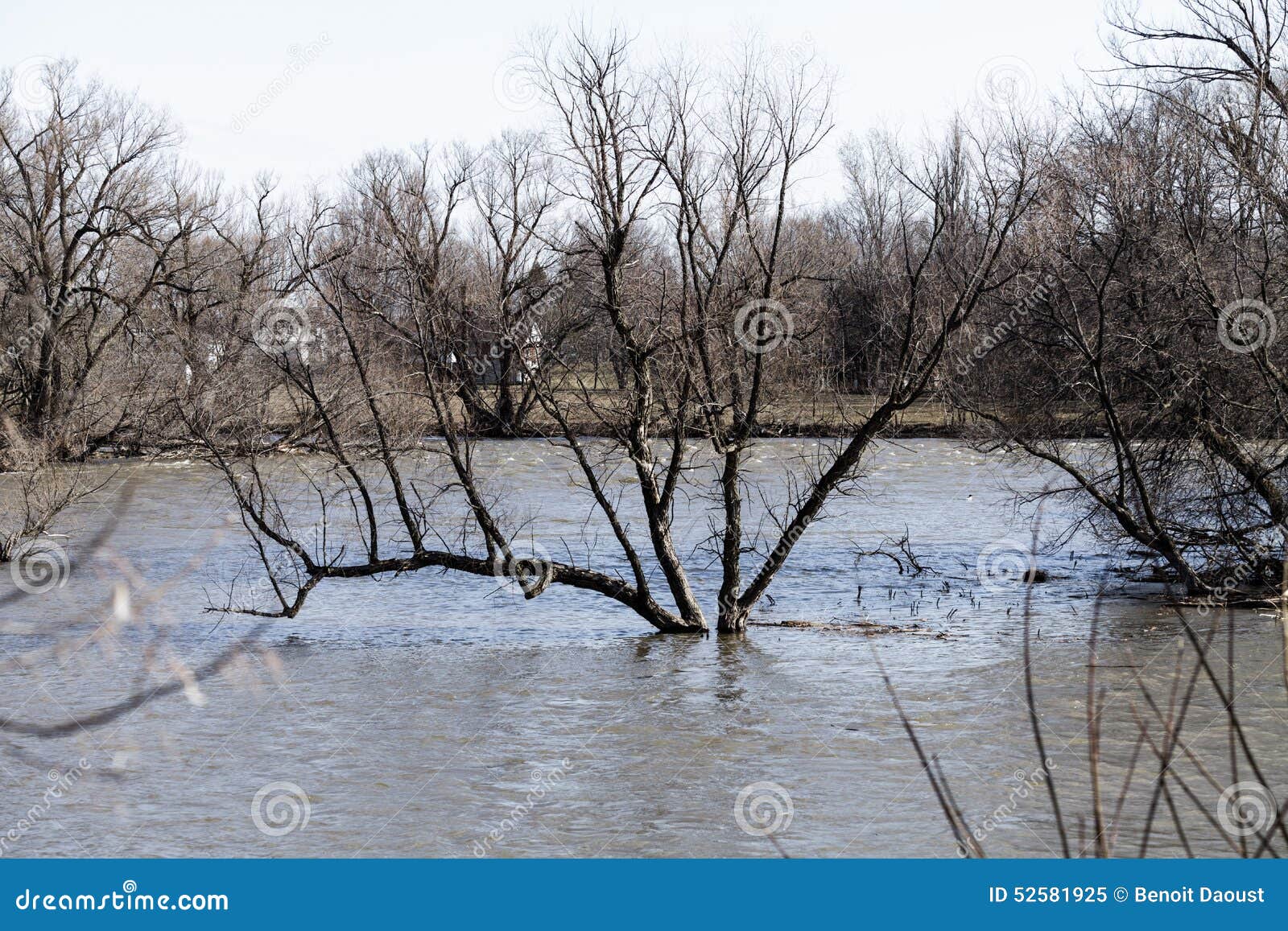 Flooding Scene with River and a Tree in the Middle Stock Image - Image ...
