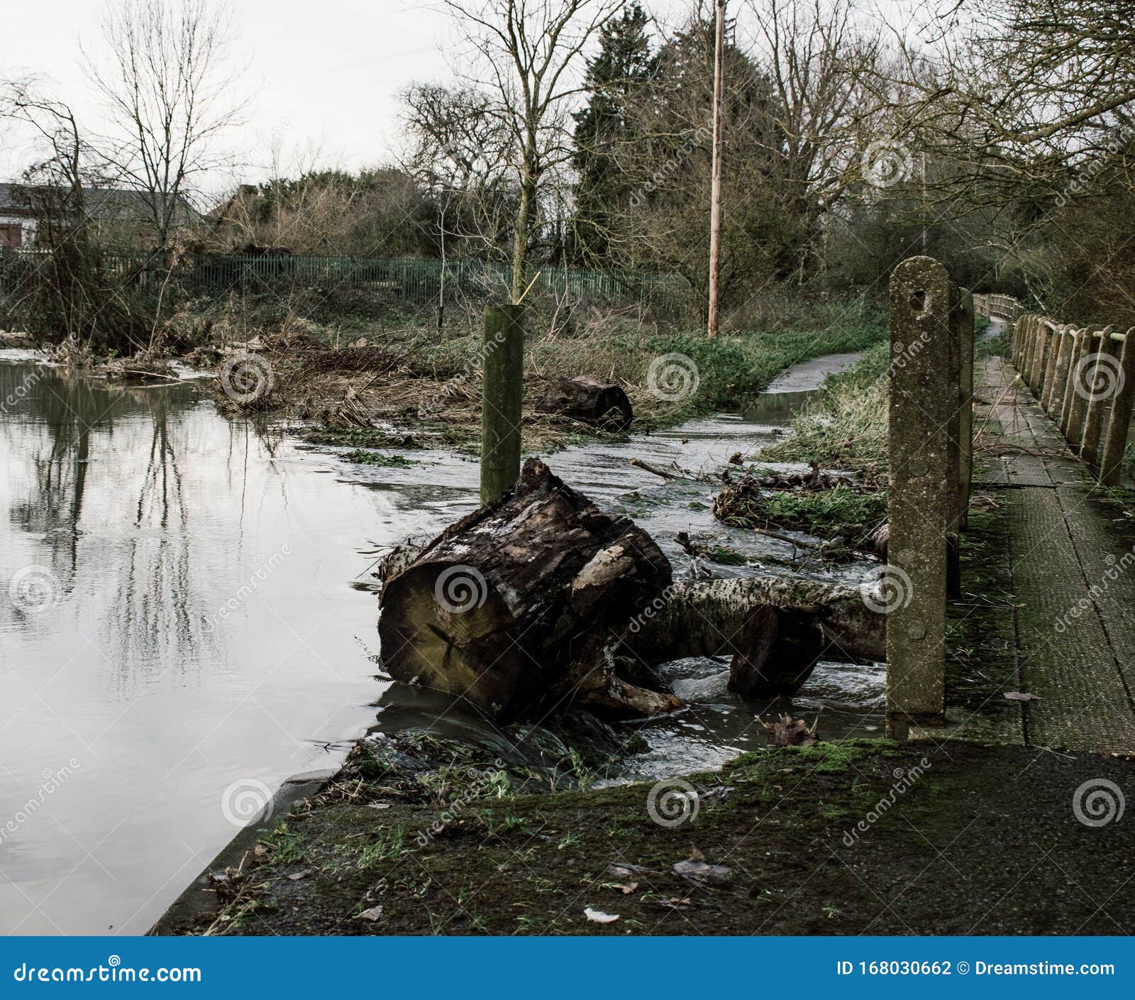 Floodplain Damage with Bridge and Log Shown in Emphasis of Damage ...